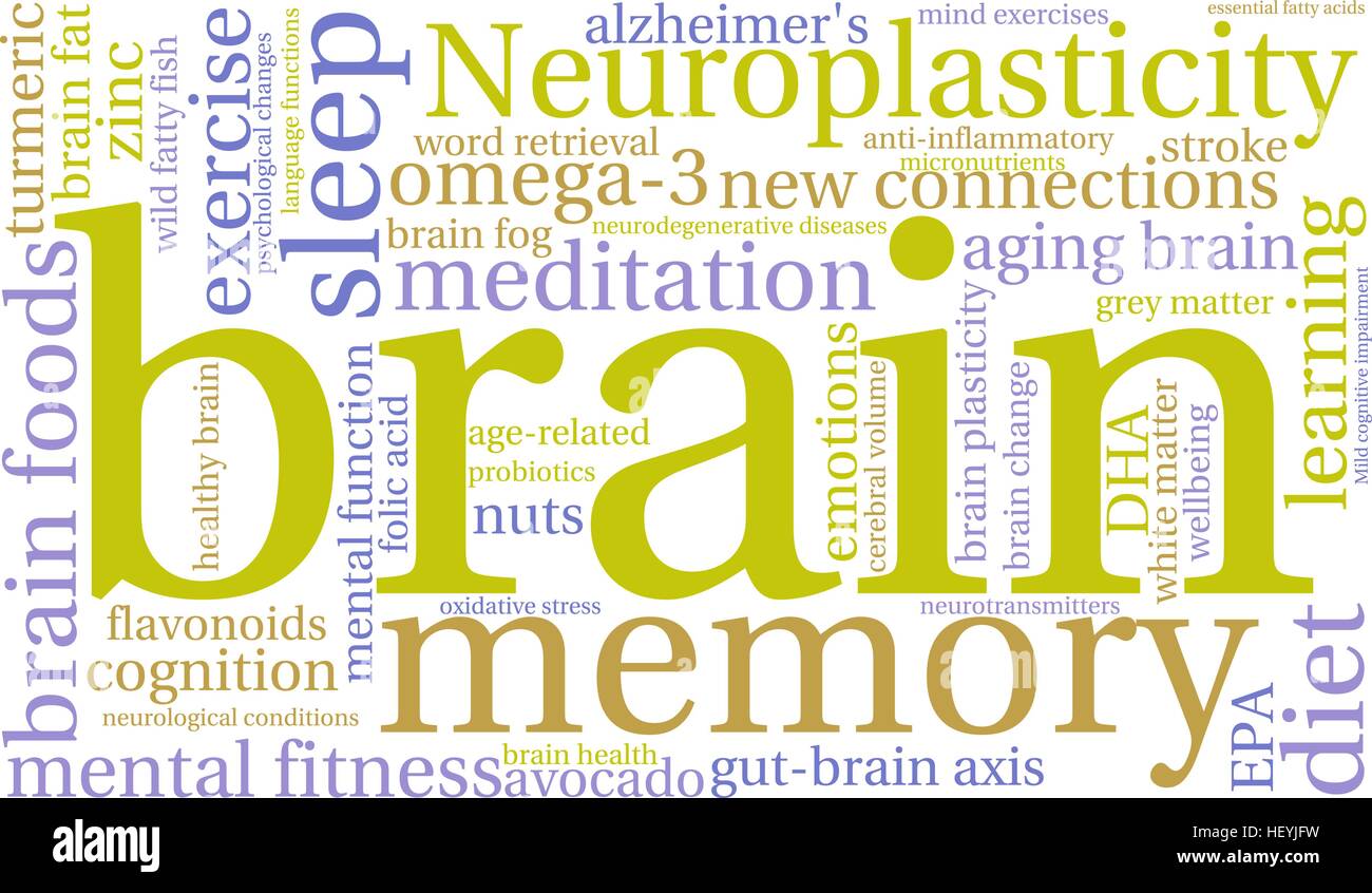 Brain word cloud on a white background Stock Vector Image & Art - Alamy