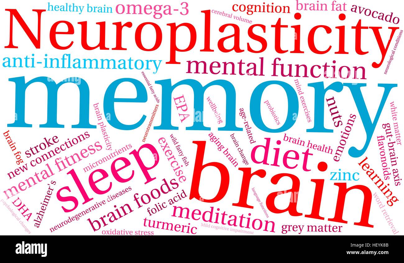 Memory word cloud on a white background Stock Vector Image & Art - Alamy