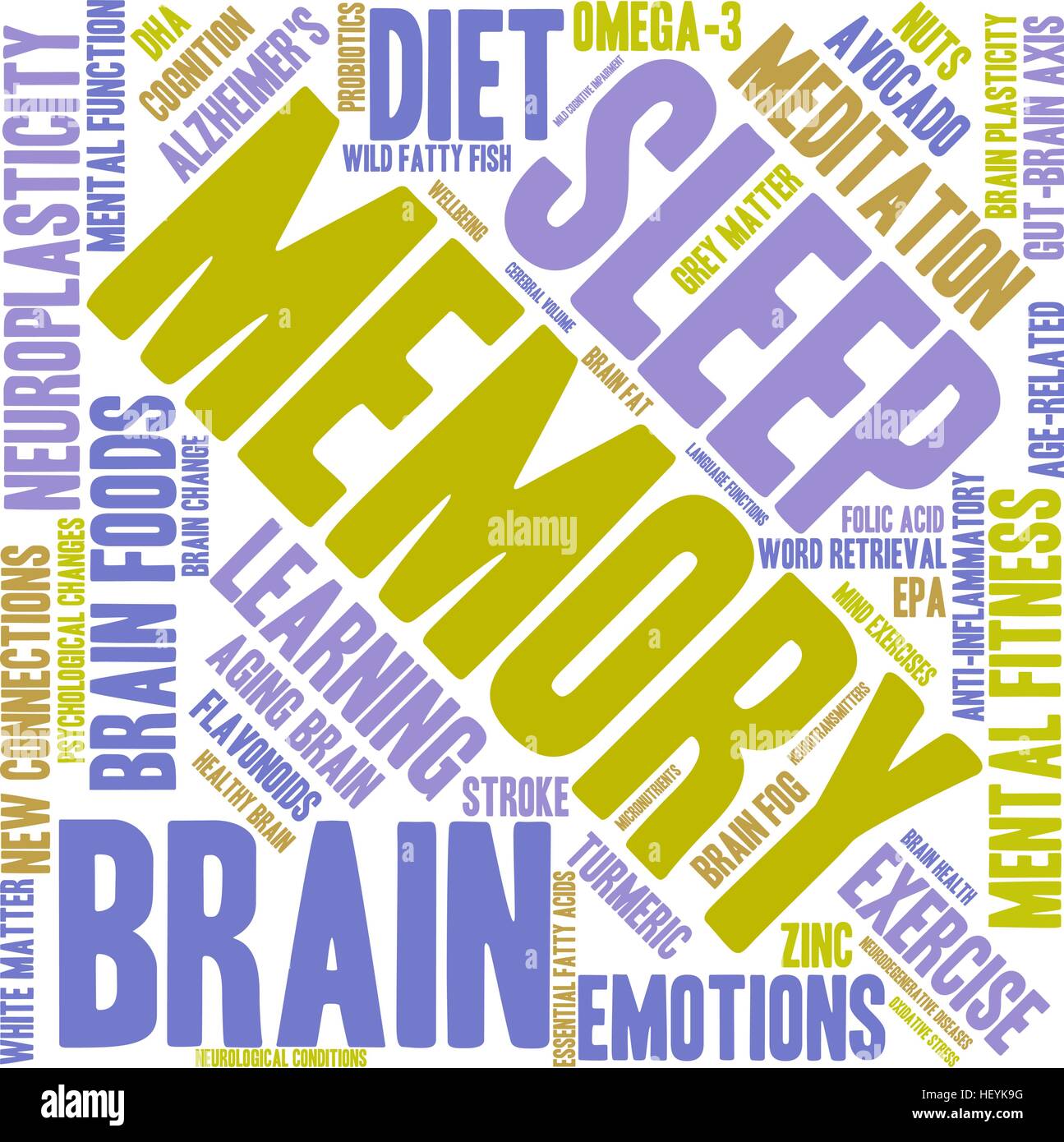 Memory word cloud on a white background Stock Vector Image & Art - Alamy