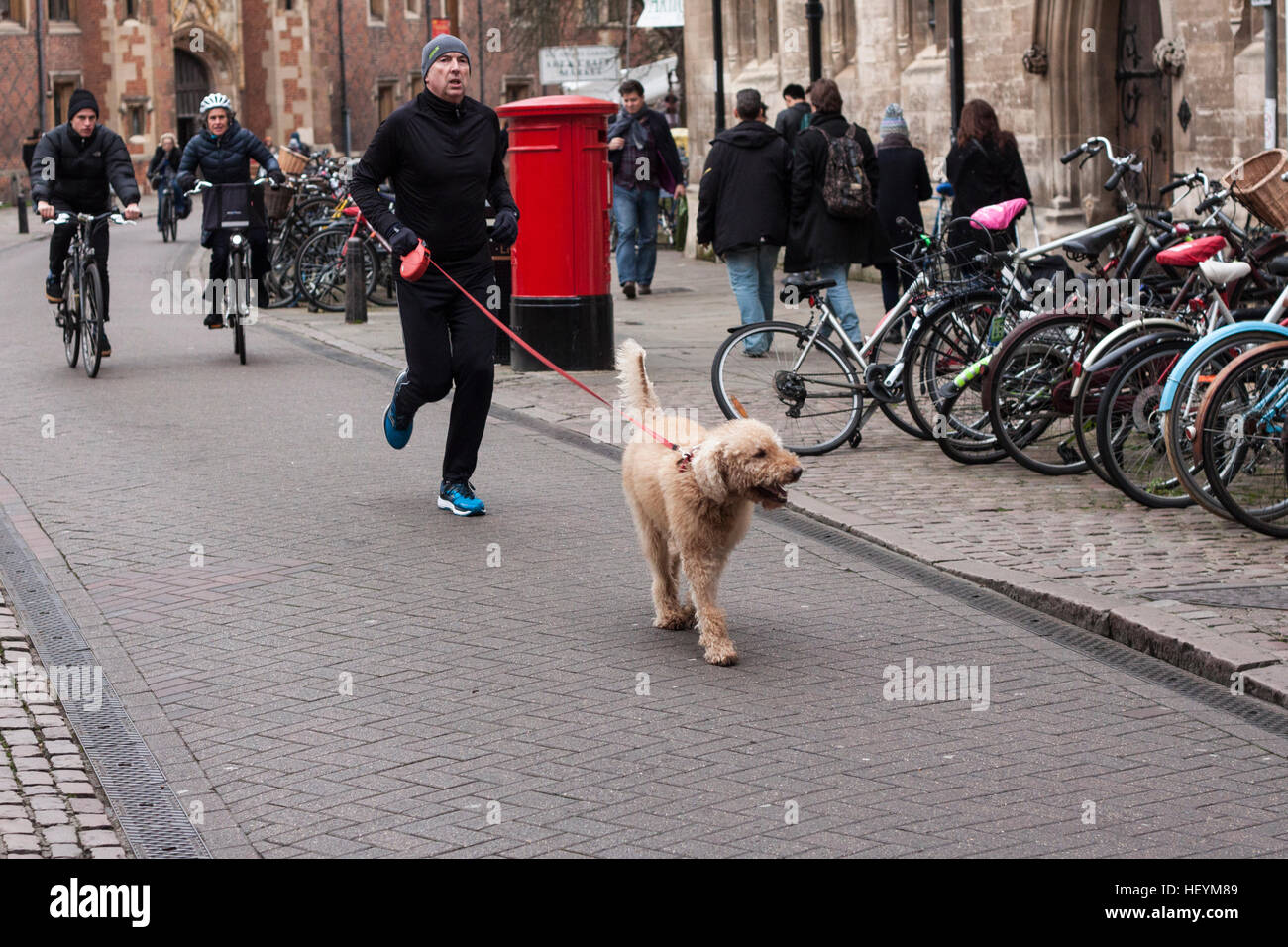 Runner man dog hi-res stock photography and images - Alamy