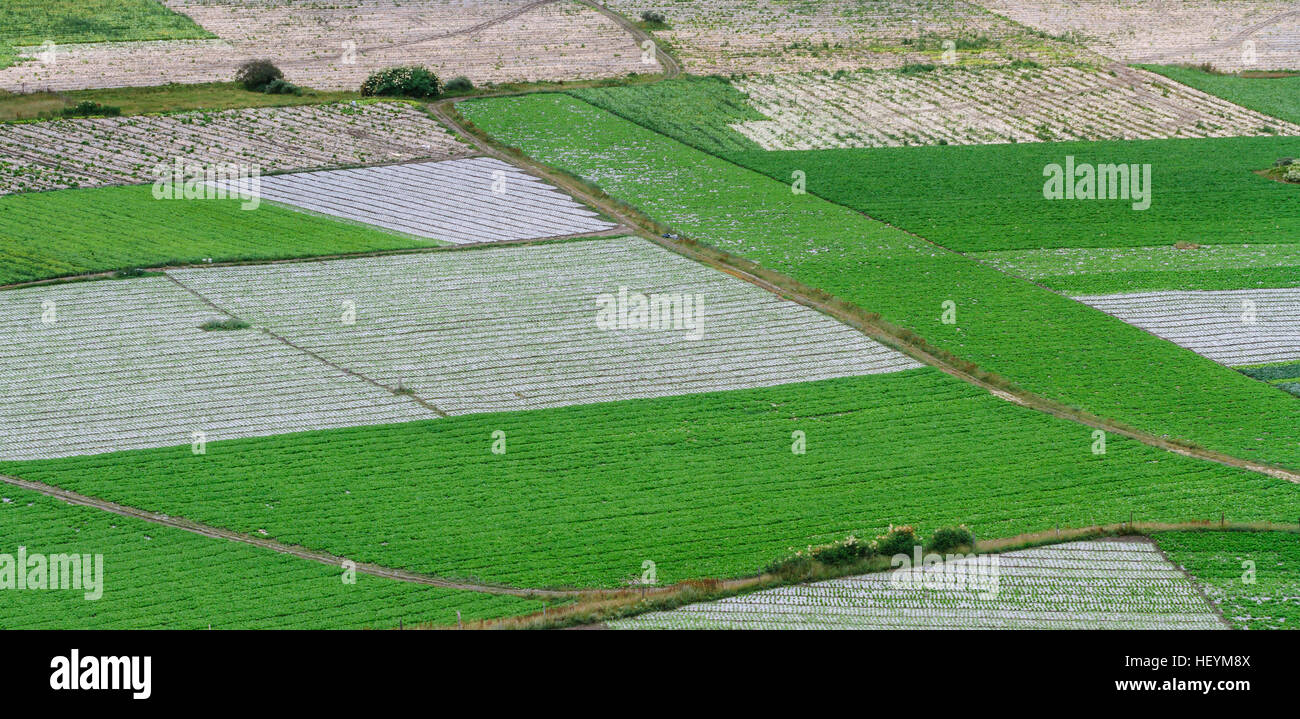 Xinduqiao, Sichuan province, China - the beautiful farmland view with ...