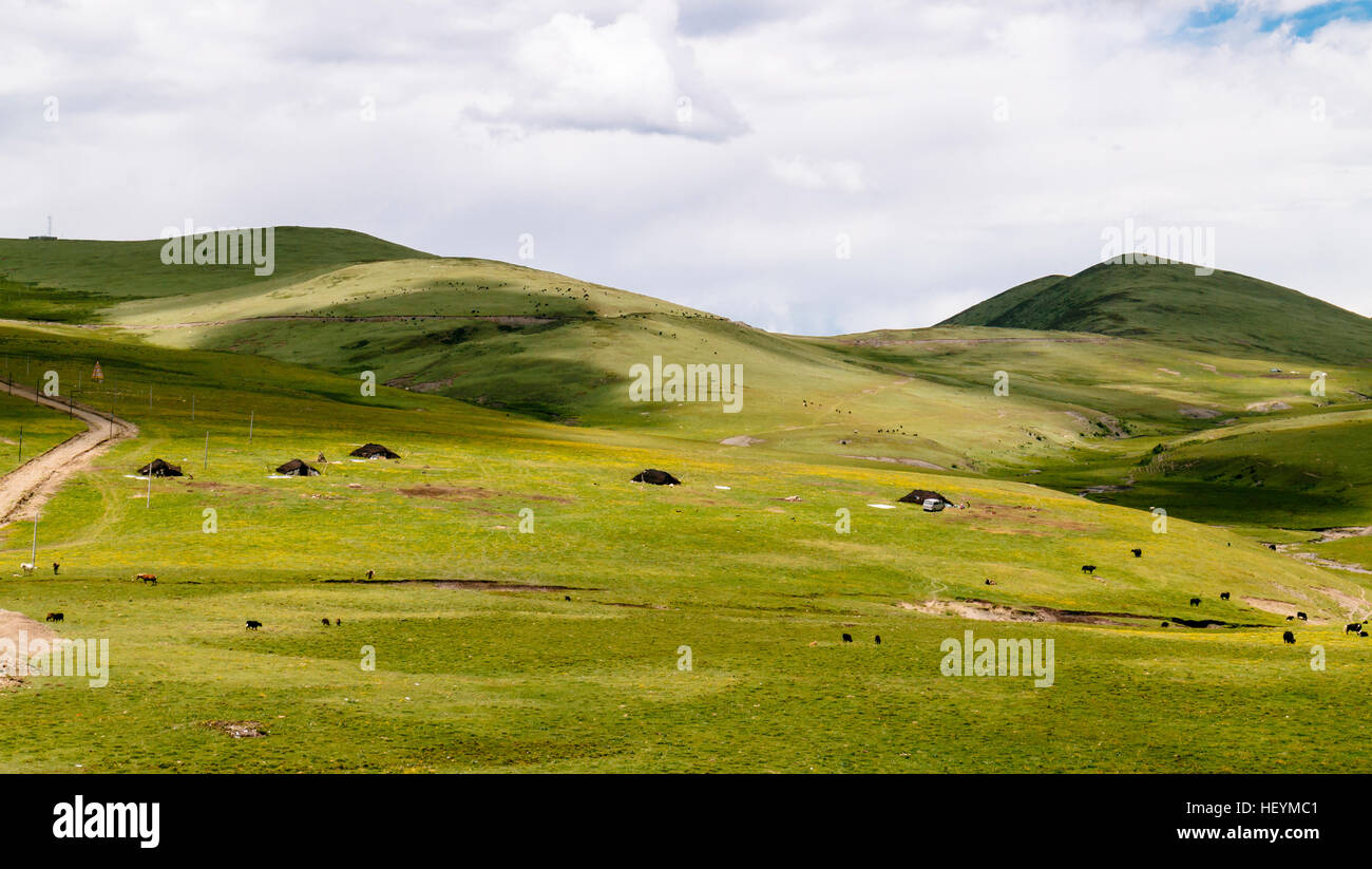 Ganzi Prefecture, Sichuan province, China - Beautiful landscape of ...