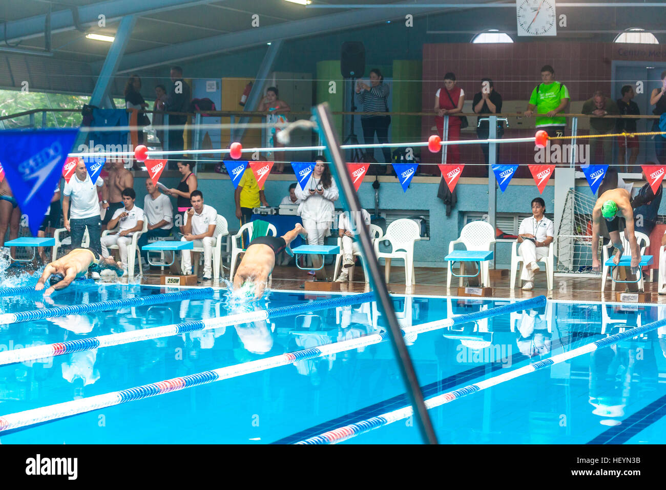 Swimming competition in the pool Stock Photo - Alamy