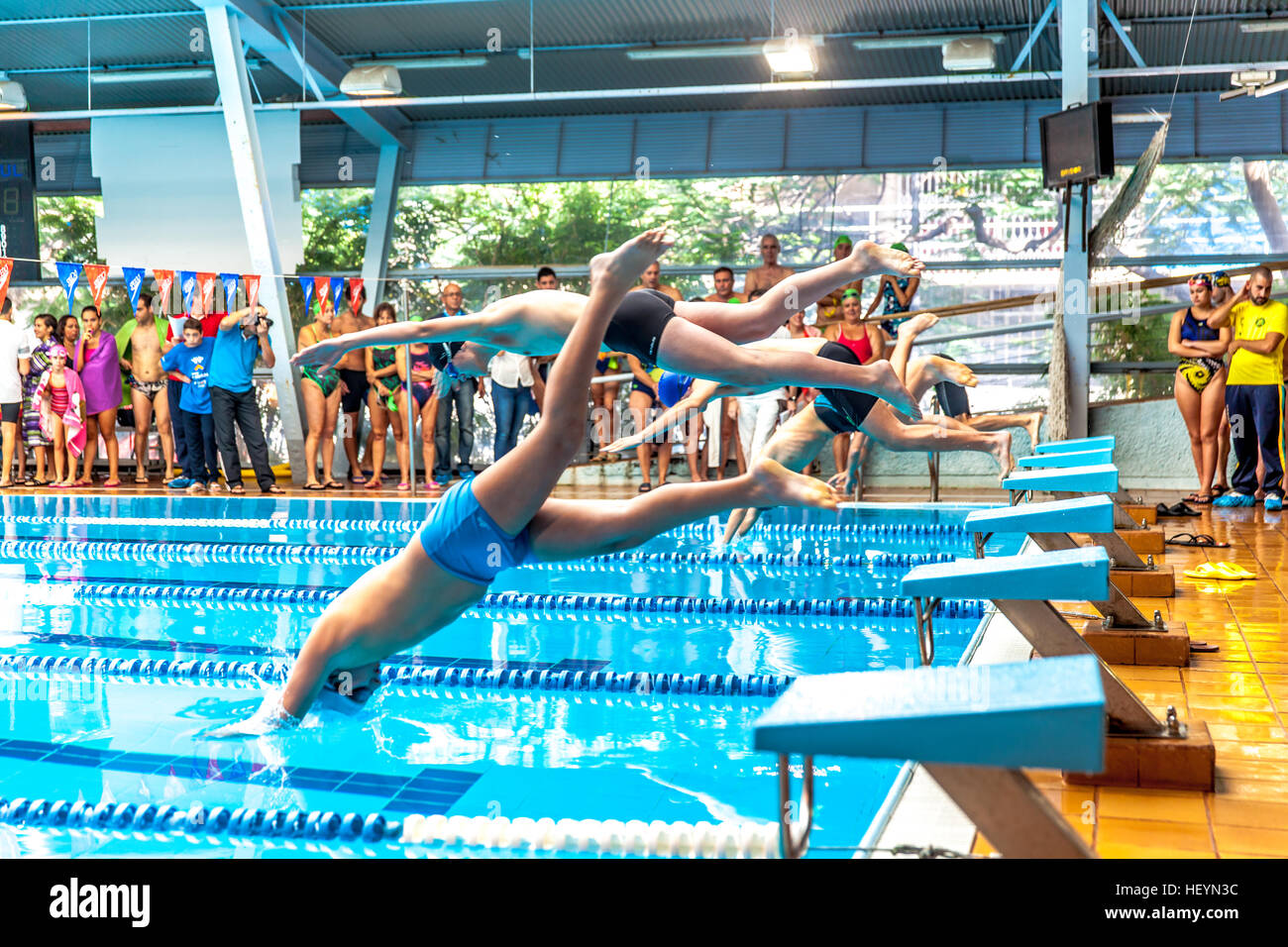 Swimming competition in the pool Stock Photo - Alamy