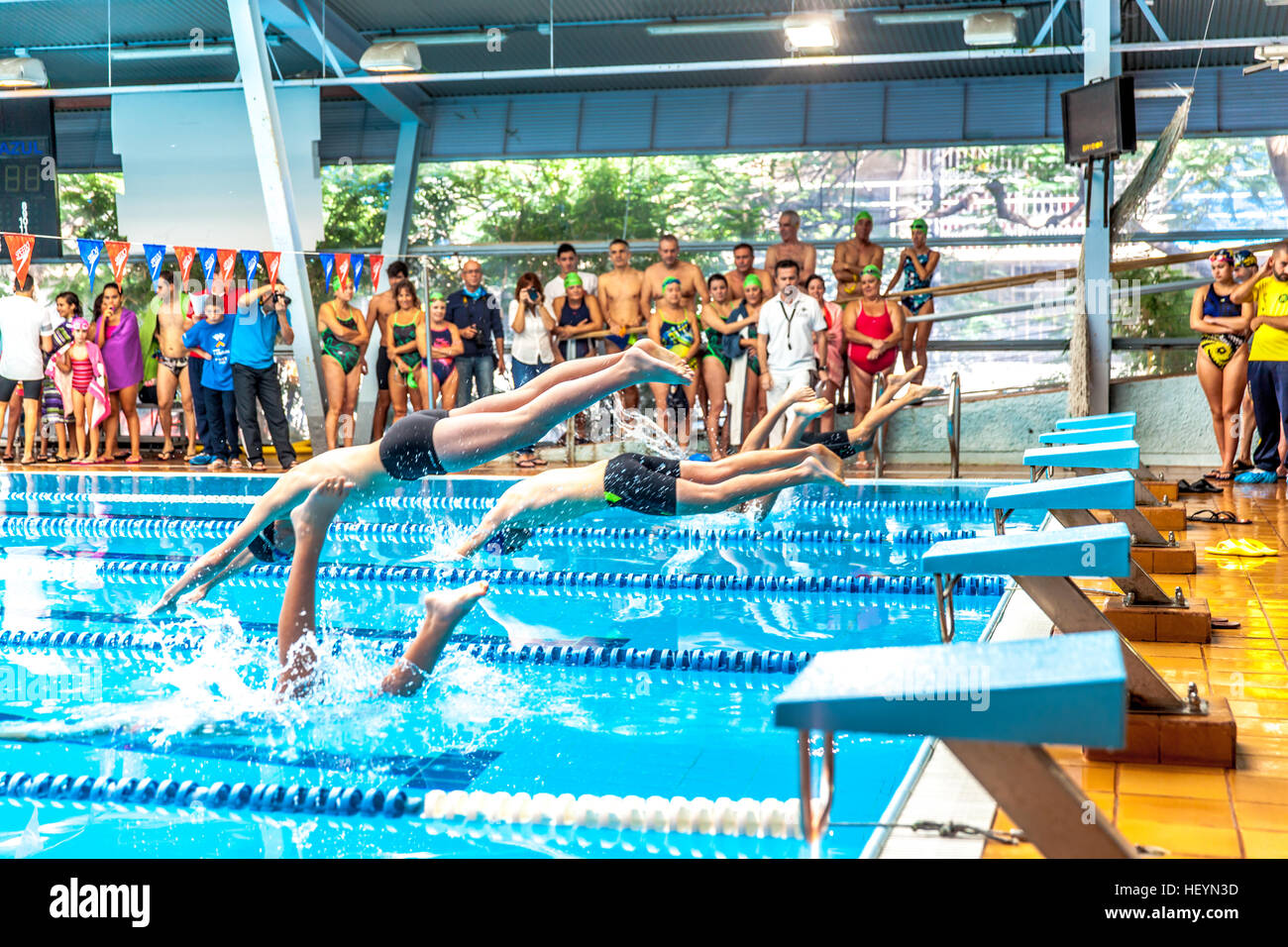 Swimming competition in the pool Stock Photo - Alamy