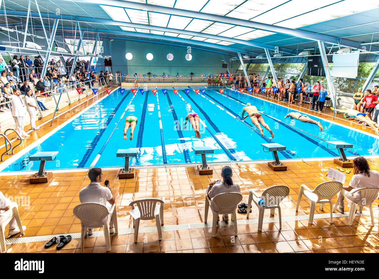 Swimming competition in the pool Stock Photo - Alamy