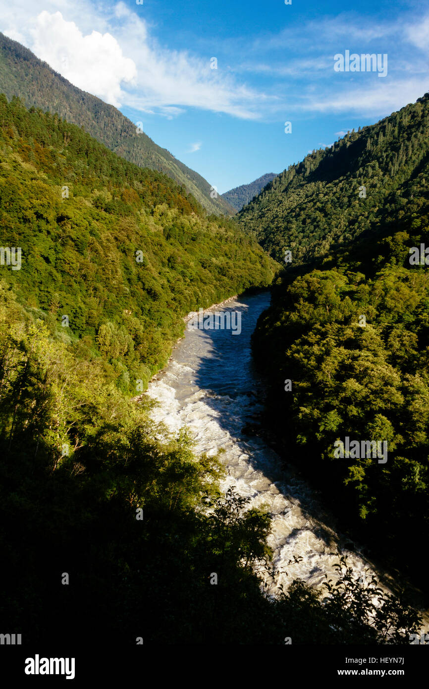 The beautiful view of the forest in Tibet Stock Photo - Alamy