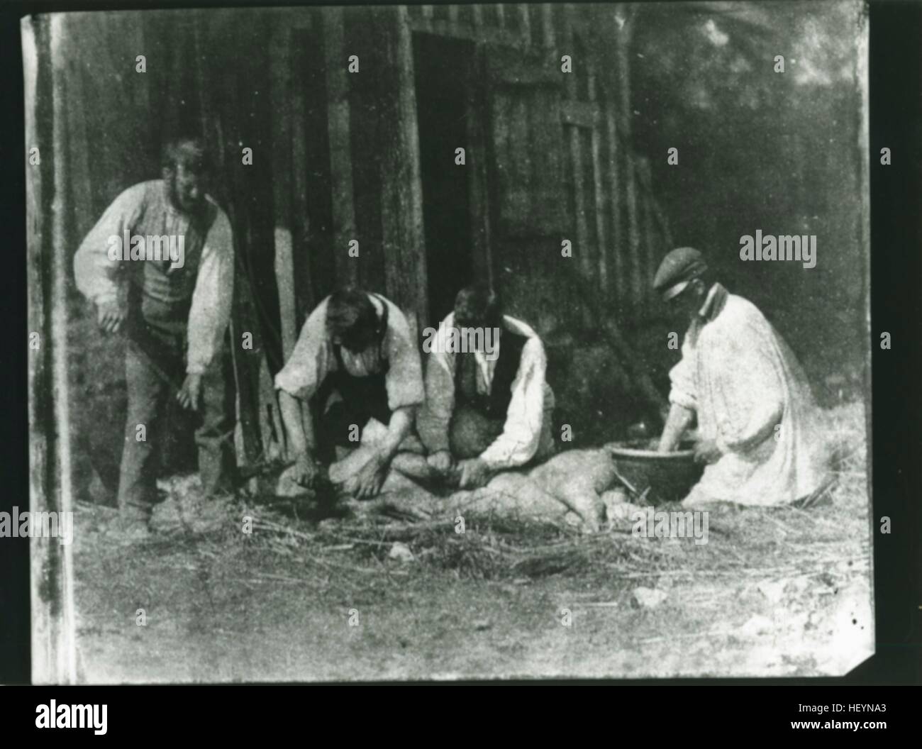 Dismembering High Resolution Stock Photography and Images - Alamy