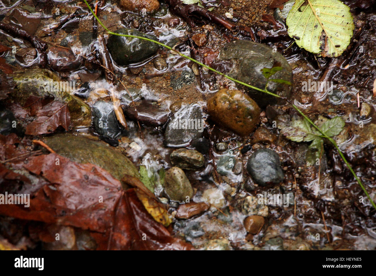 Slow shutter speed of water trickling down a tiny stream of rocks Stock ...