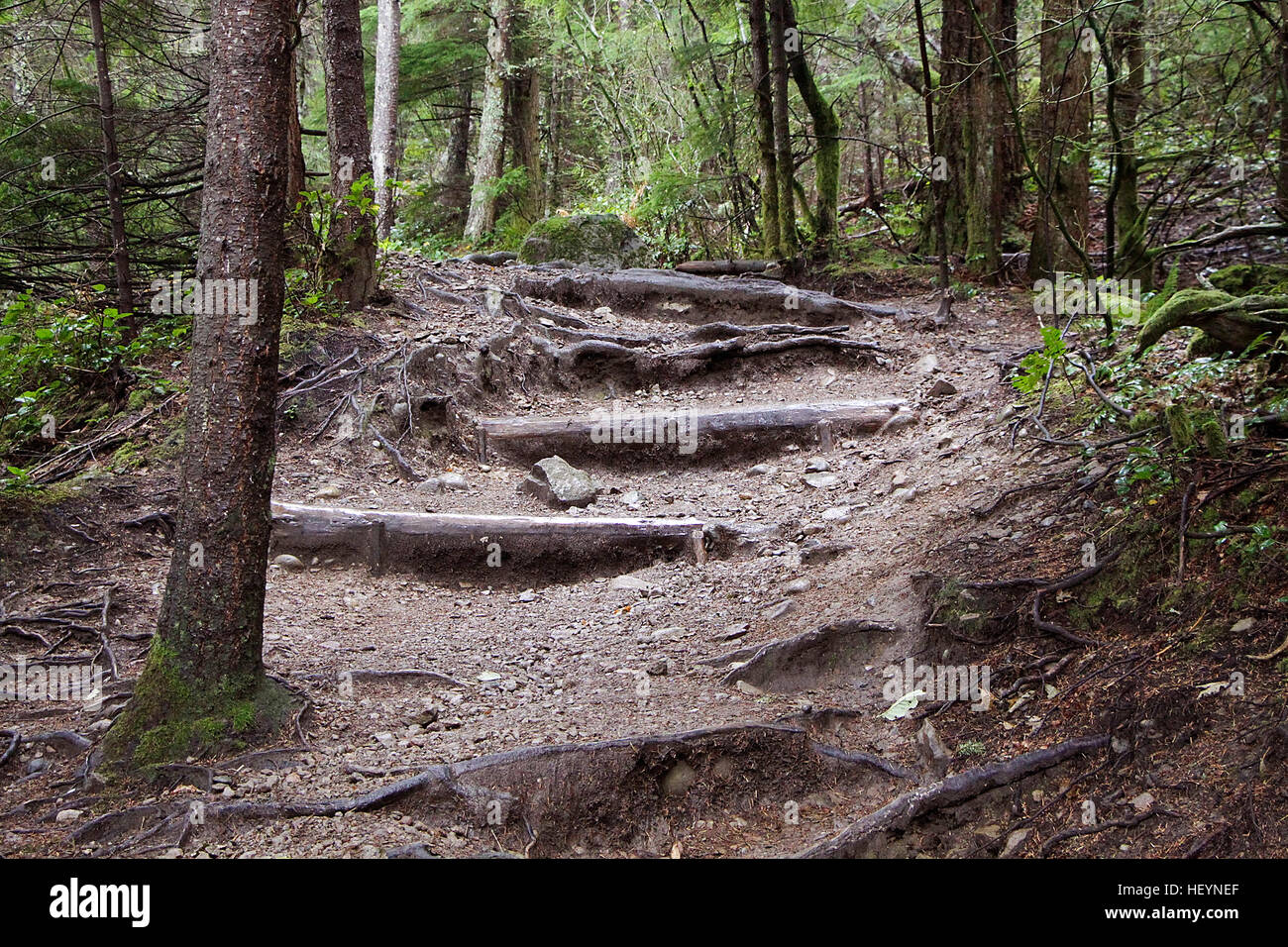 Trail and stairs hi-res stock photography and images - Alamy