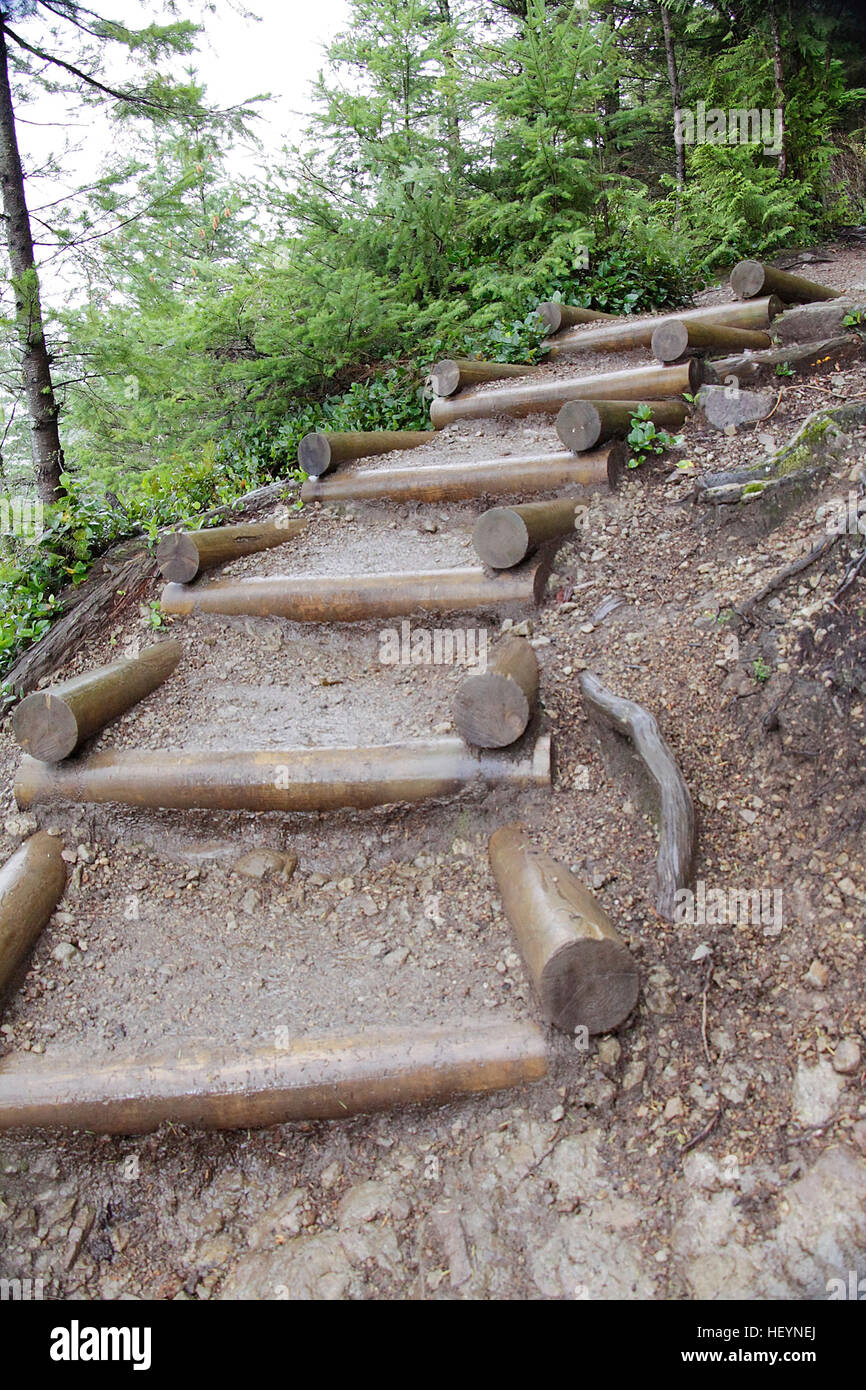 Log steps on a walking path Stock Photo - Alamy