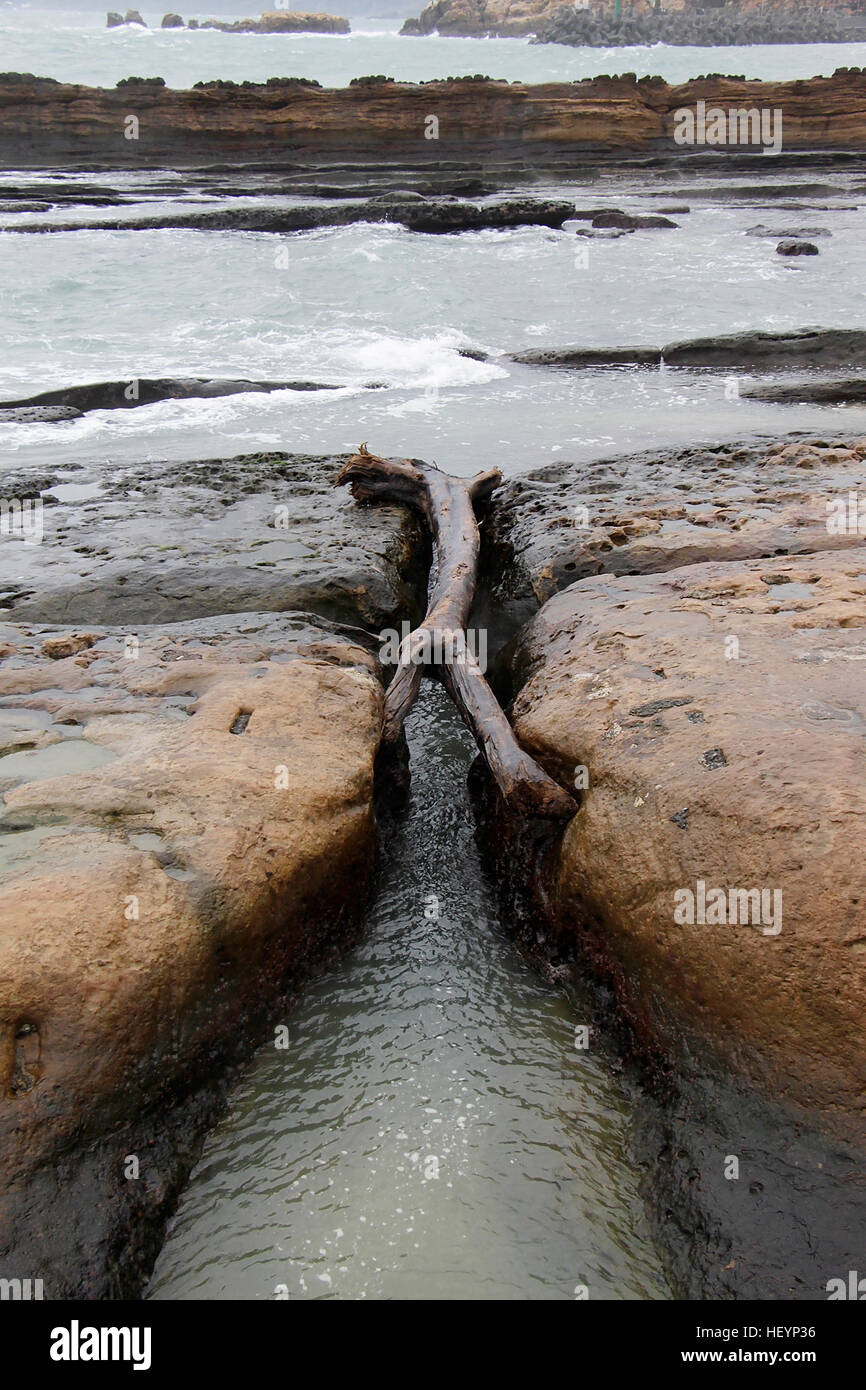 Tree drift wood stuck between two rocks above a stream into the ocean ...