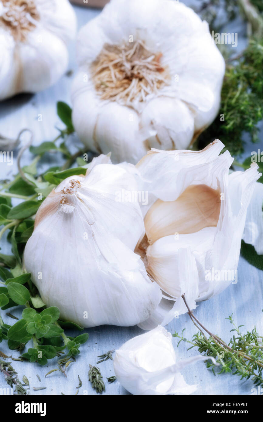 Garlic bulbs and herbs (Allium sativum Stock Photo - Alamy