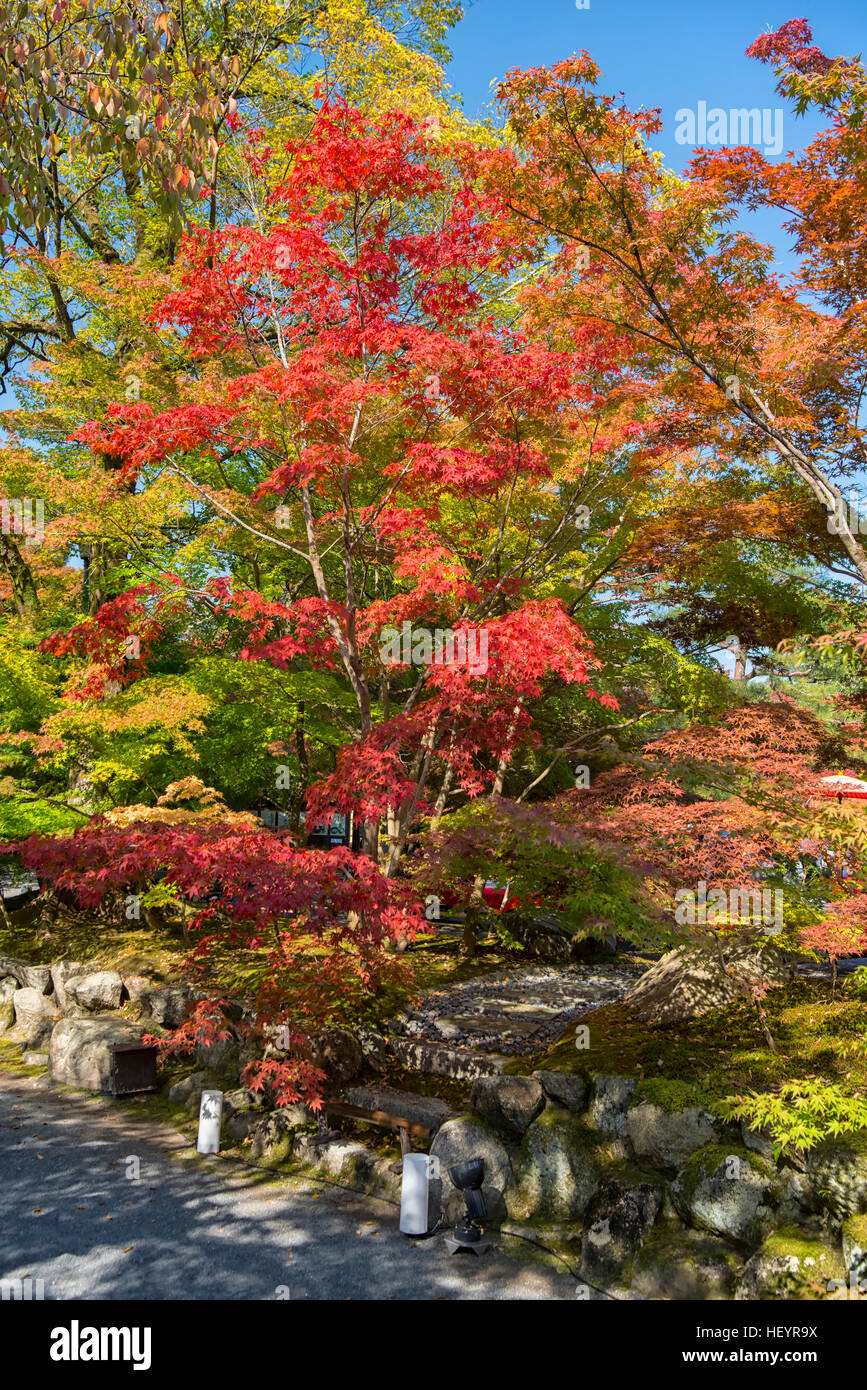 Eikando Temple in Kyoto, Japan Stock Photo - Alamy