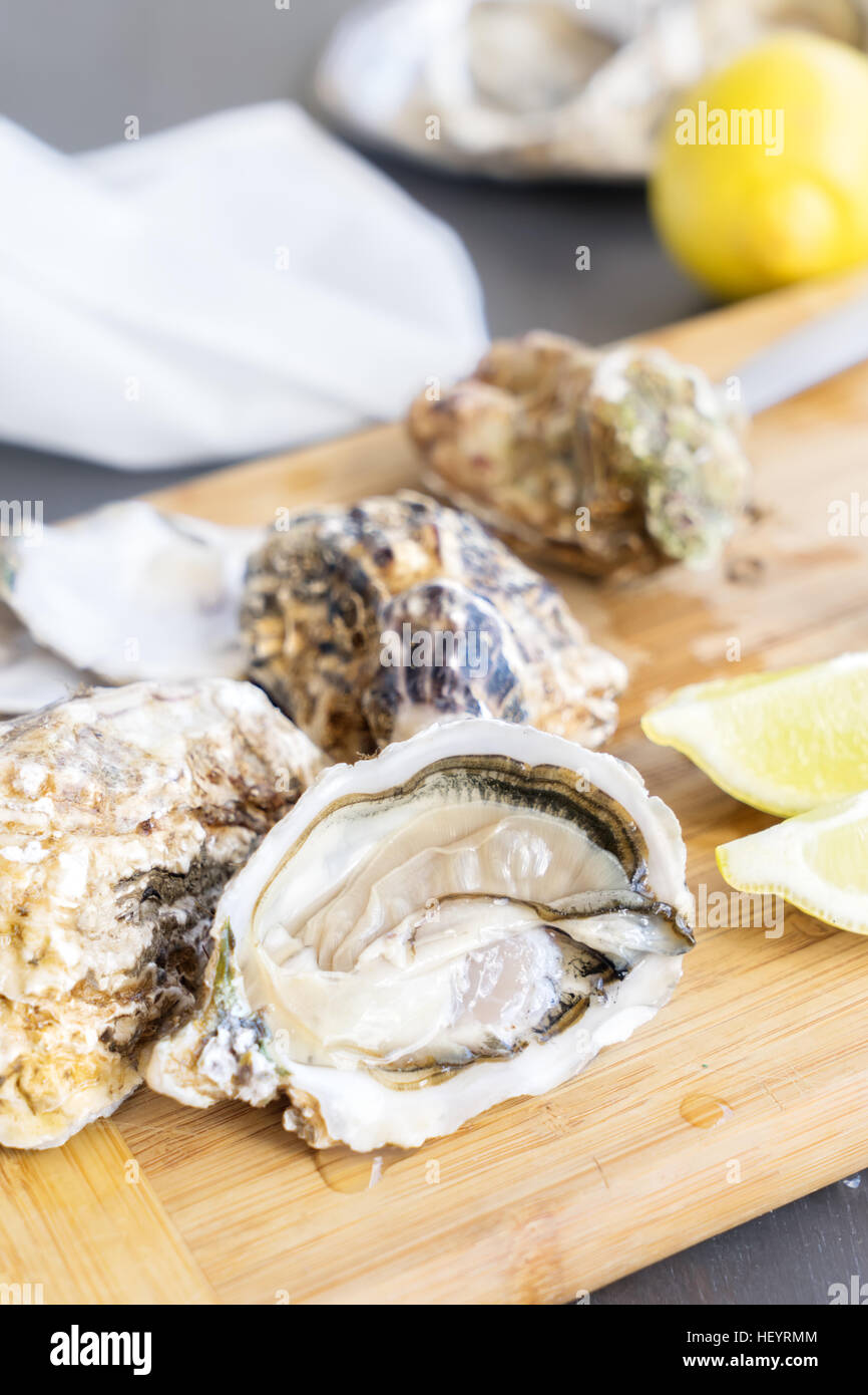 Raw oysters shells Stock Photo - Alamy