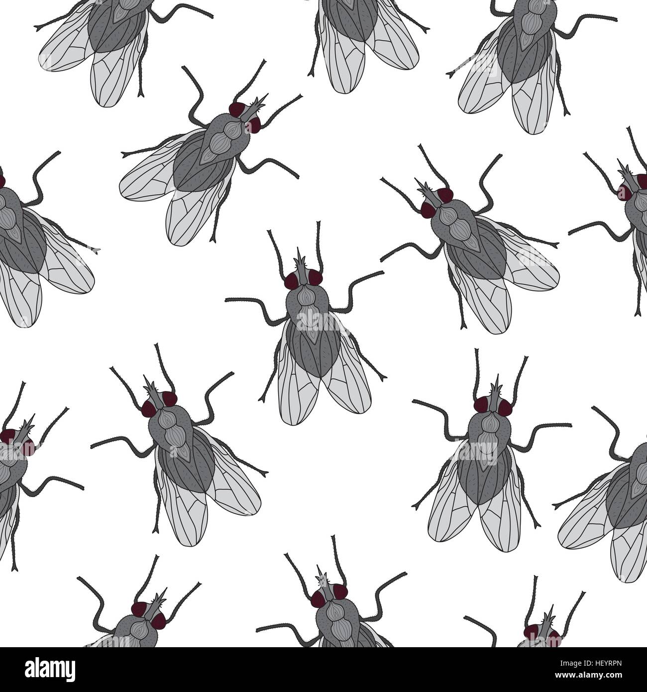 Fly insect seamless texture. Fly wallpaper, background. Vector ...