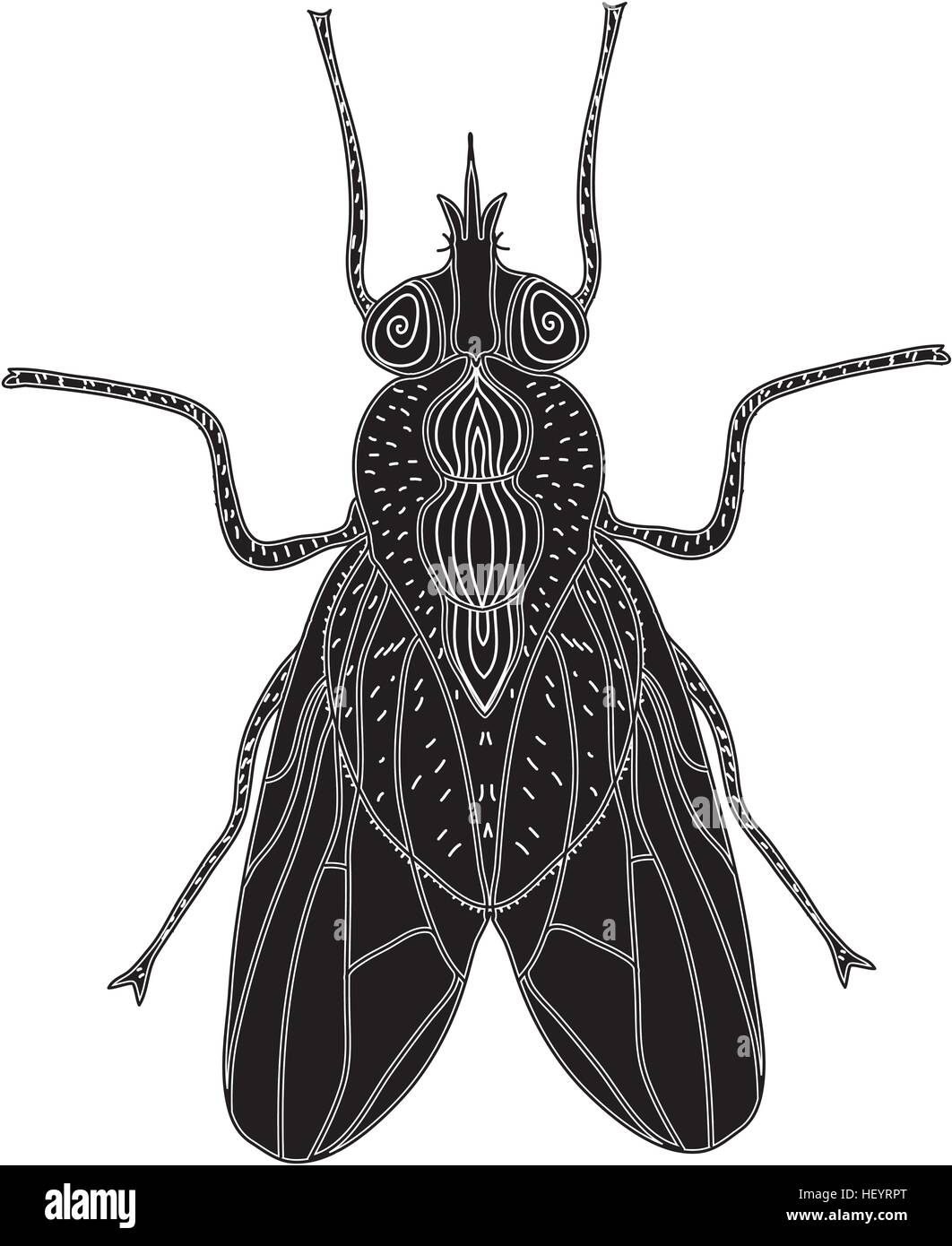 Fly insect silhouette. Fly sketch a tattoo. Doodle style. Modern design ...