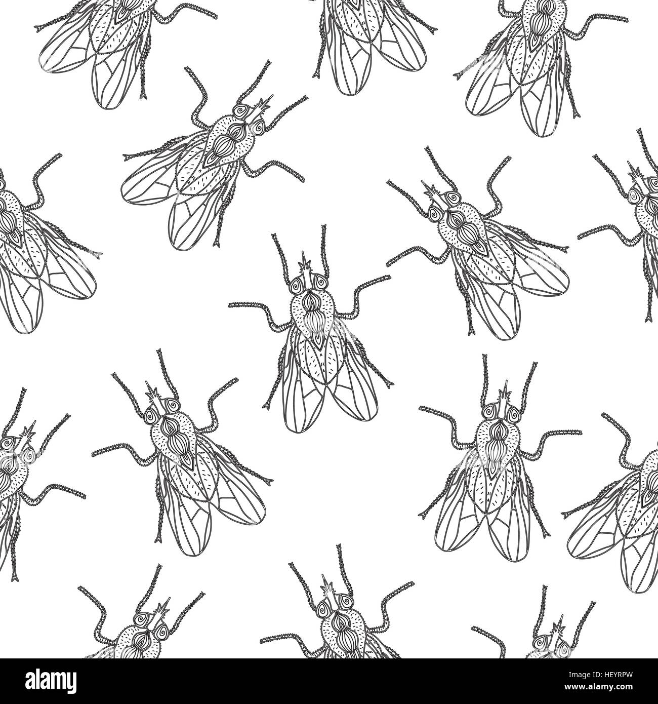 Fly insect seamless texture. Fly wallpaper, background. Doodle, sketch ...