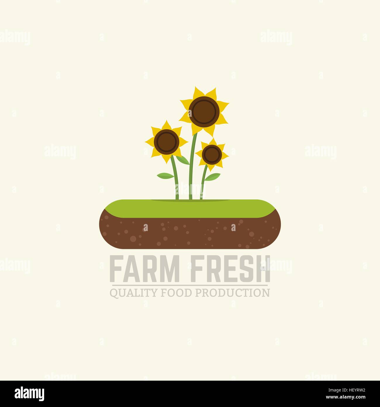 Flat vector illustration farm fresh concept, sunflower oil and seeds ...