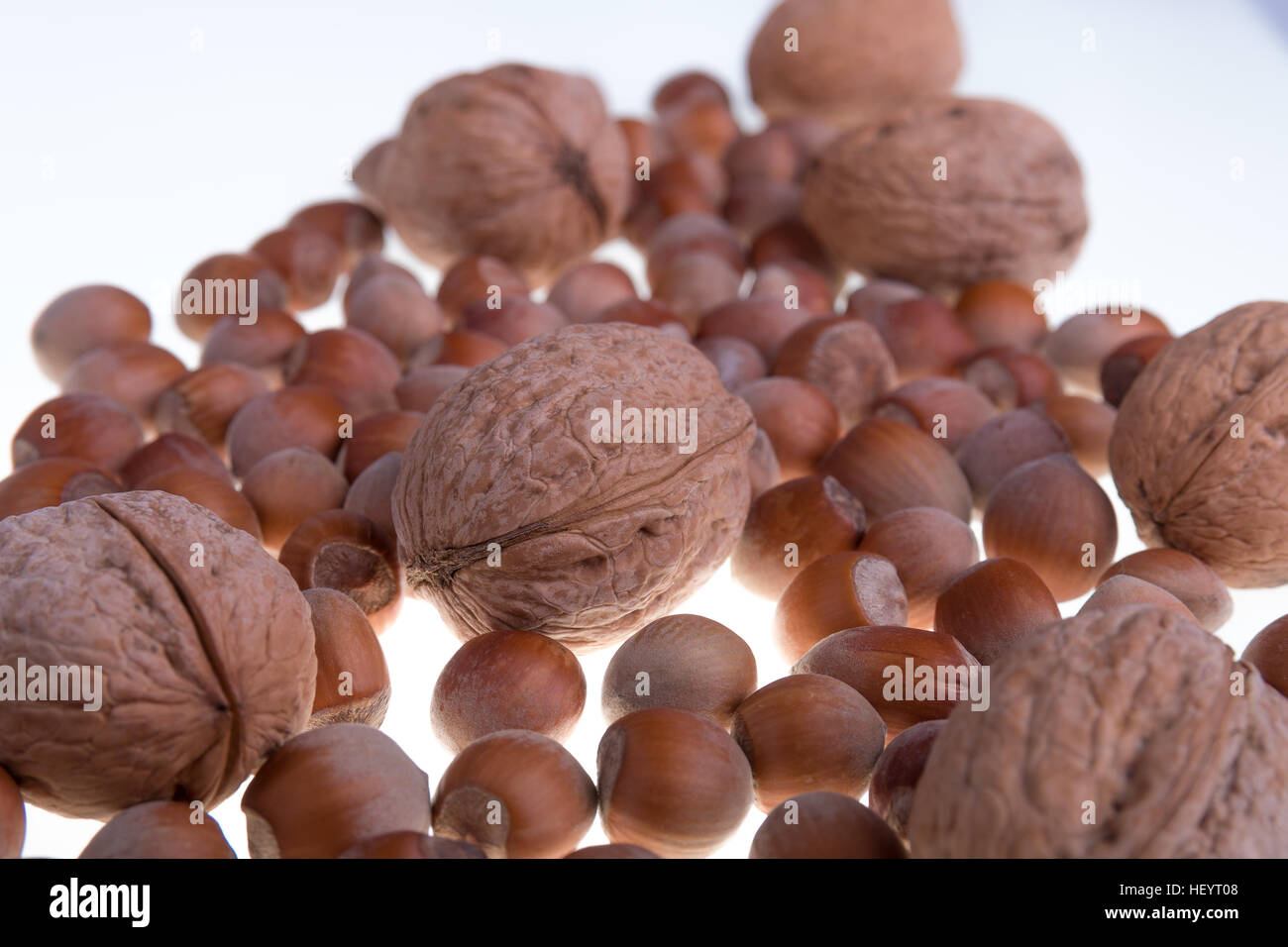 Hazelnuts and walnut on a white background Stock Photo - Alamy