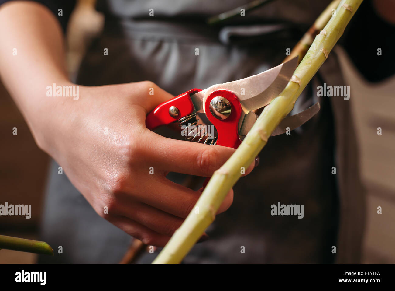 Cutting flower hi-res stock photography and images - Alamy