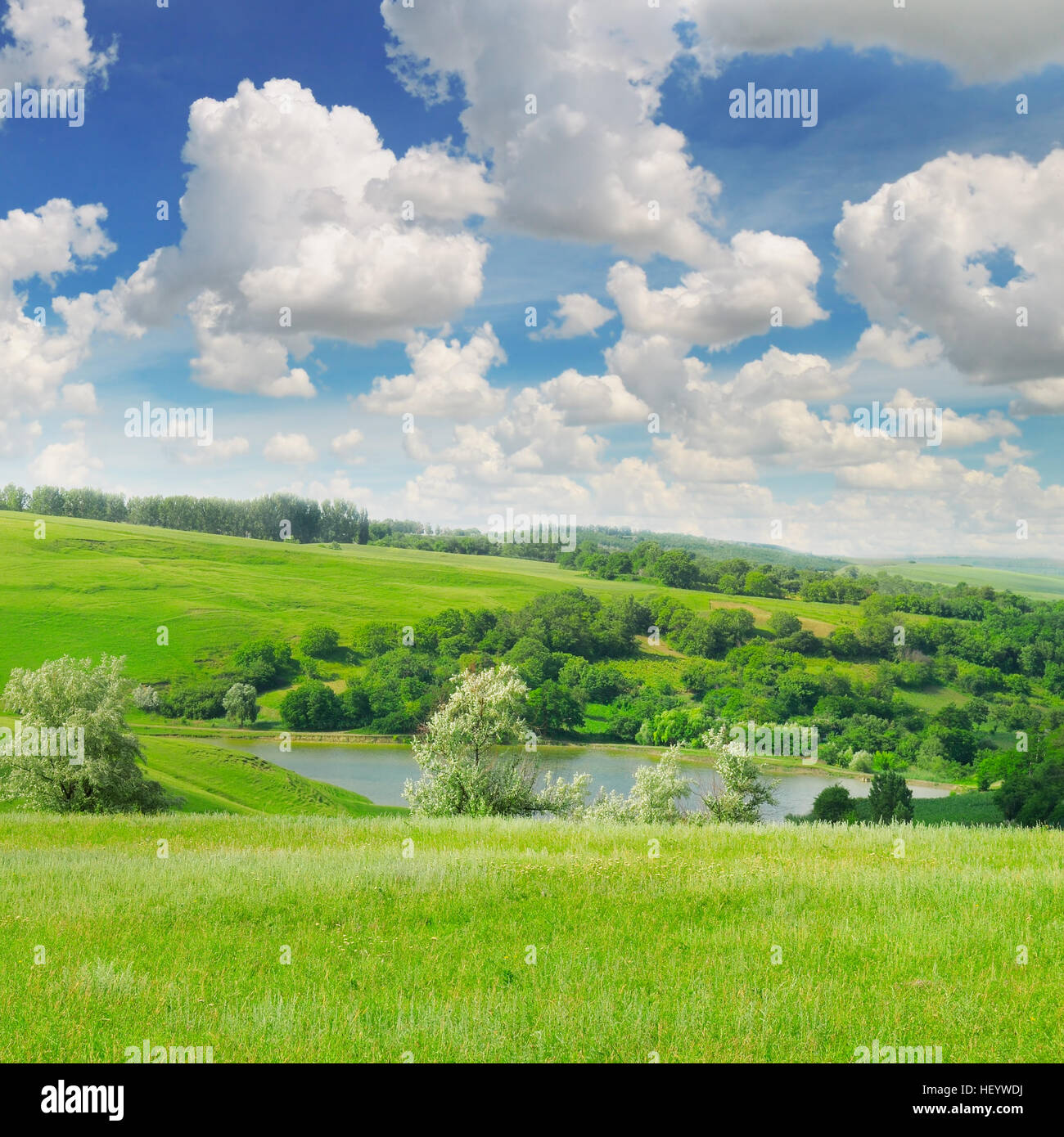 picturesque green field and blue sky Stock Photo - Alamy