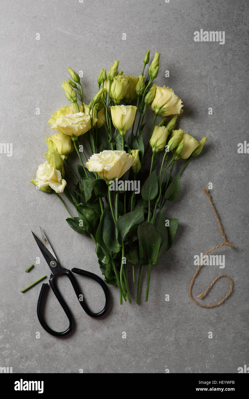 Yellow eustoma on gray background, flowers Stock Photo - Alamy