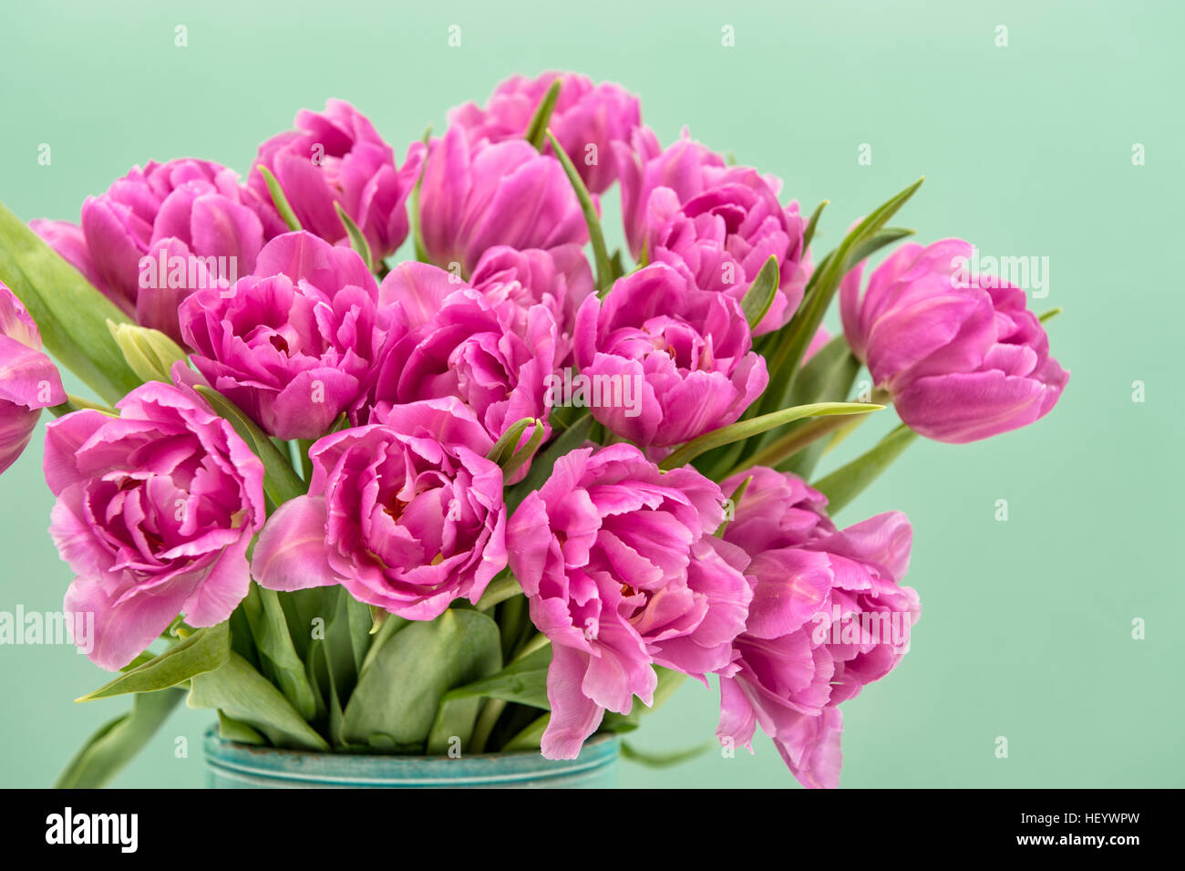 Turquoise spring hi-res stock photography and images - Alamy