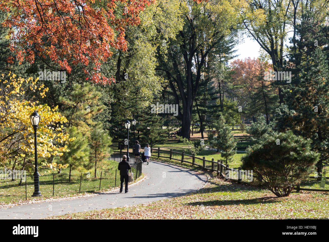 Paved Pathway in Central Park, NYC, USA Stock Photo - Alamy