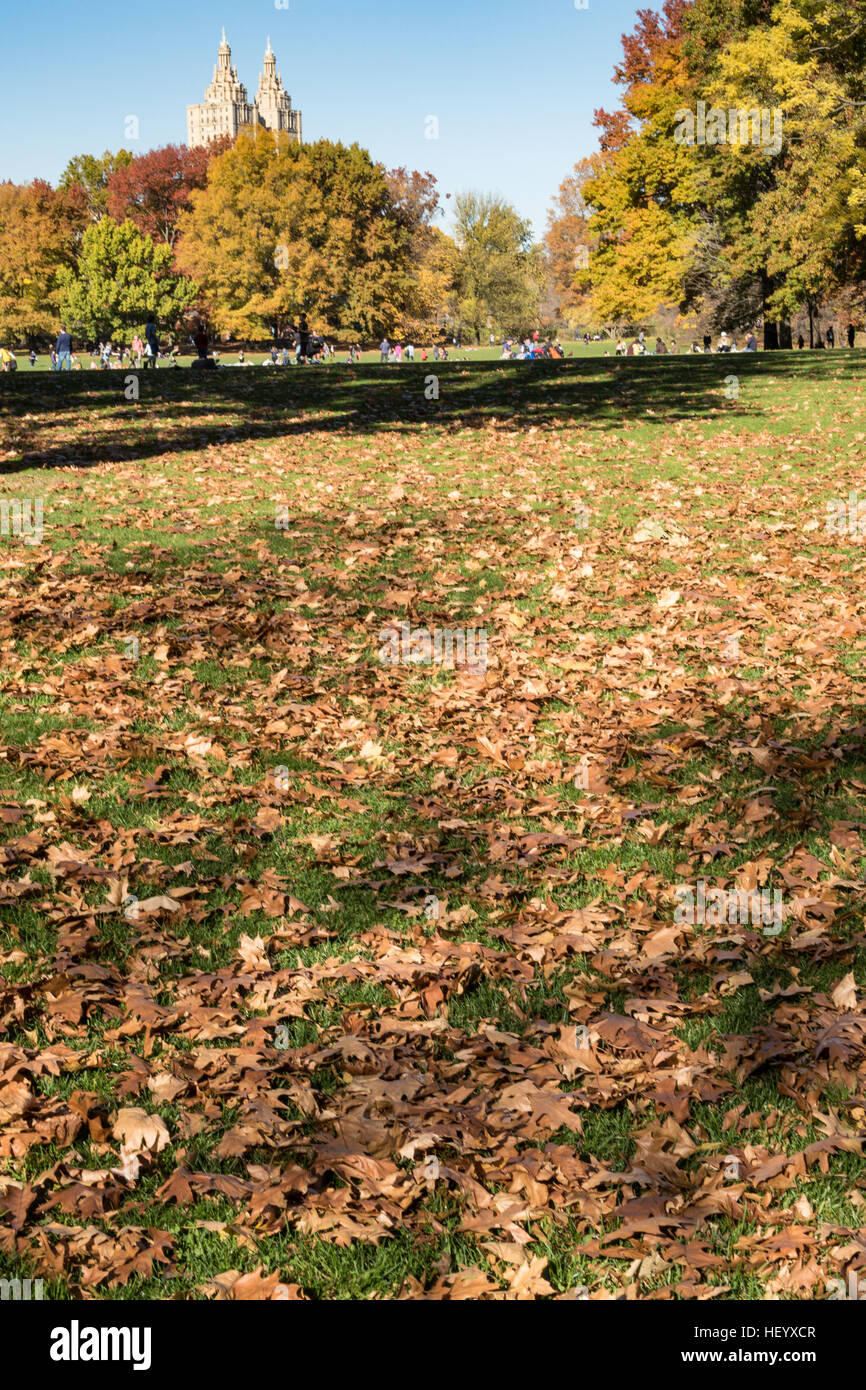 Central Park in the Fall, NYC, USA Stock Photo - Alamy