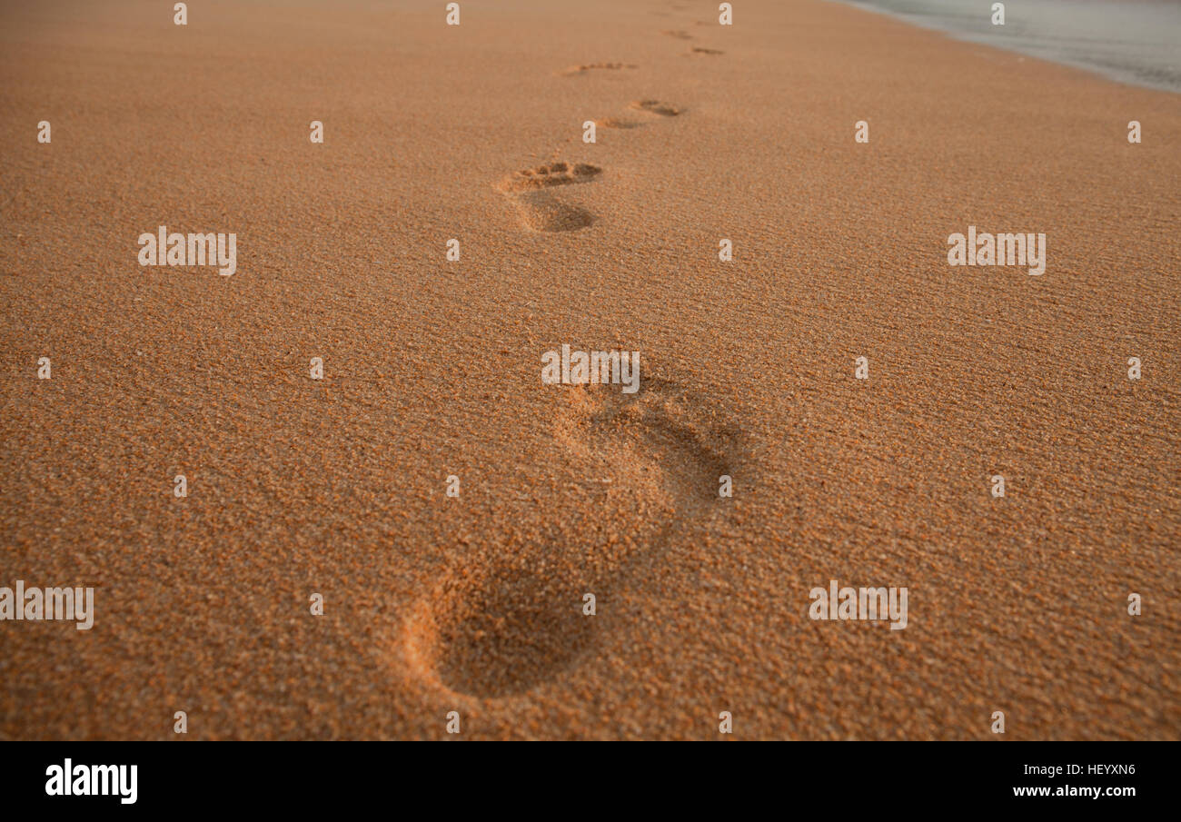 Footprints on the sand at sunset Stock Photo - Alamy