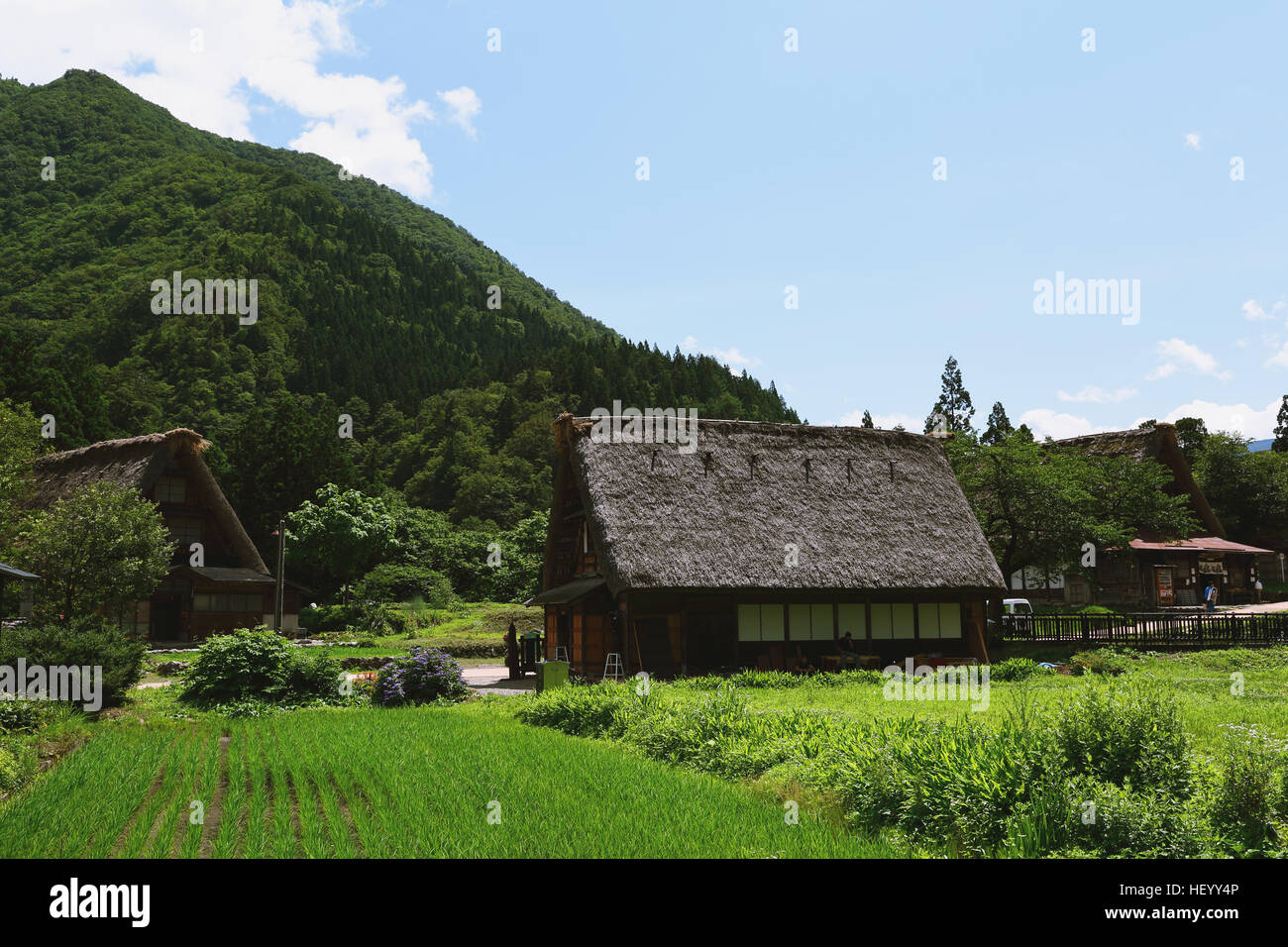 Traditional Japanese village in Gokayama, Toyama Prefecture, Japan ...