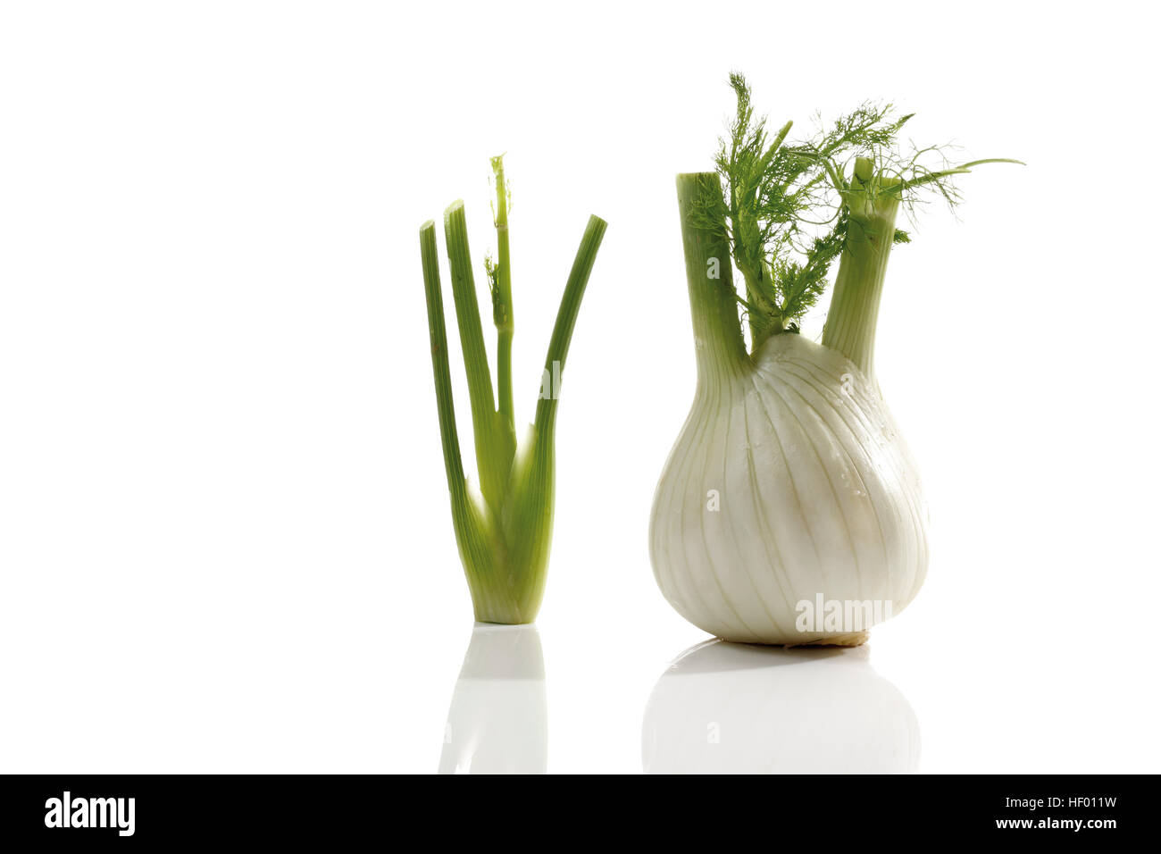 Baby and regular fennel, size comparison (Foeniculum vulgare Stock ...