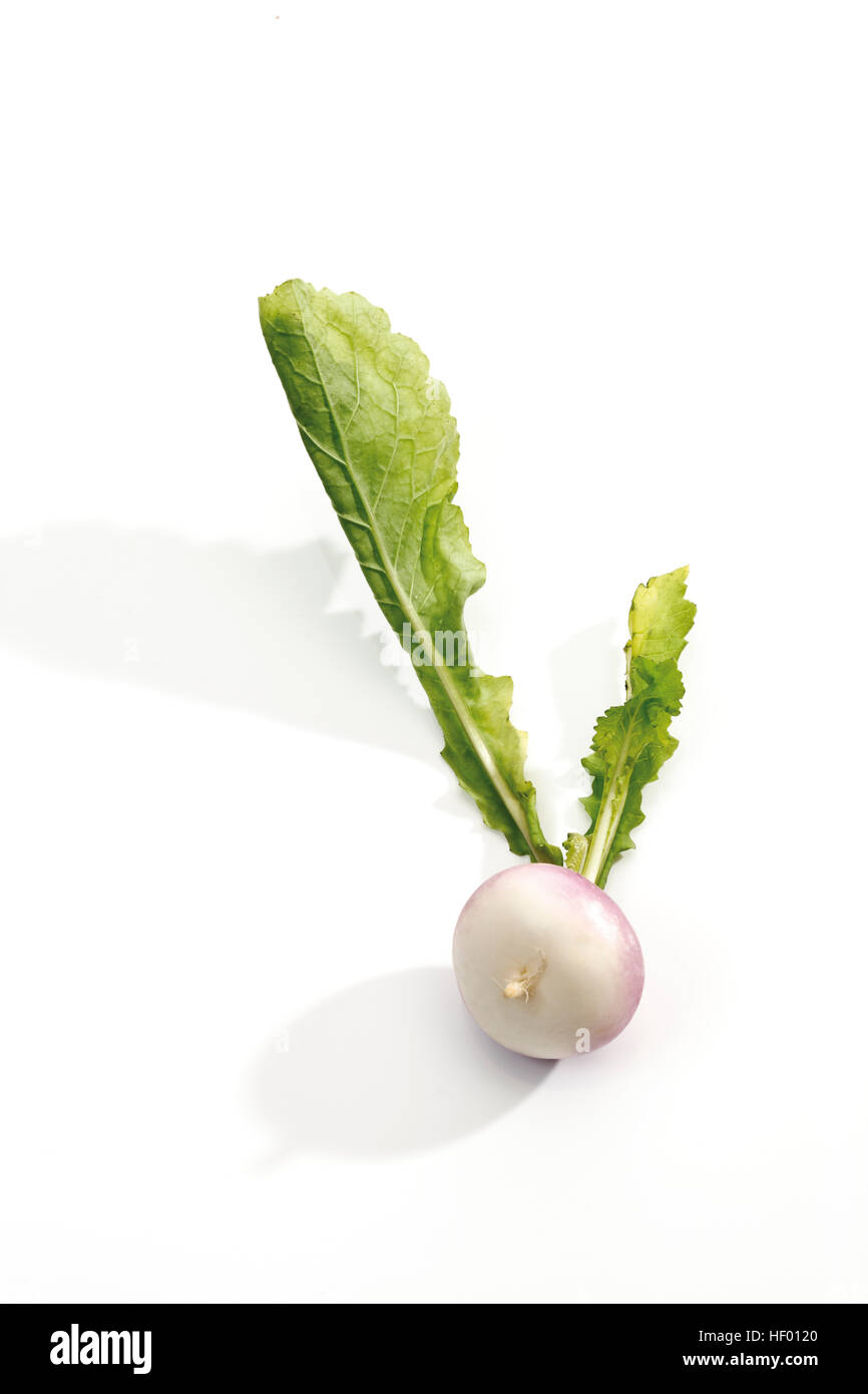 Teltower turnip hi-res stock photography and images - Alamy
