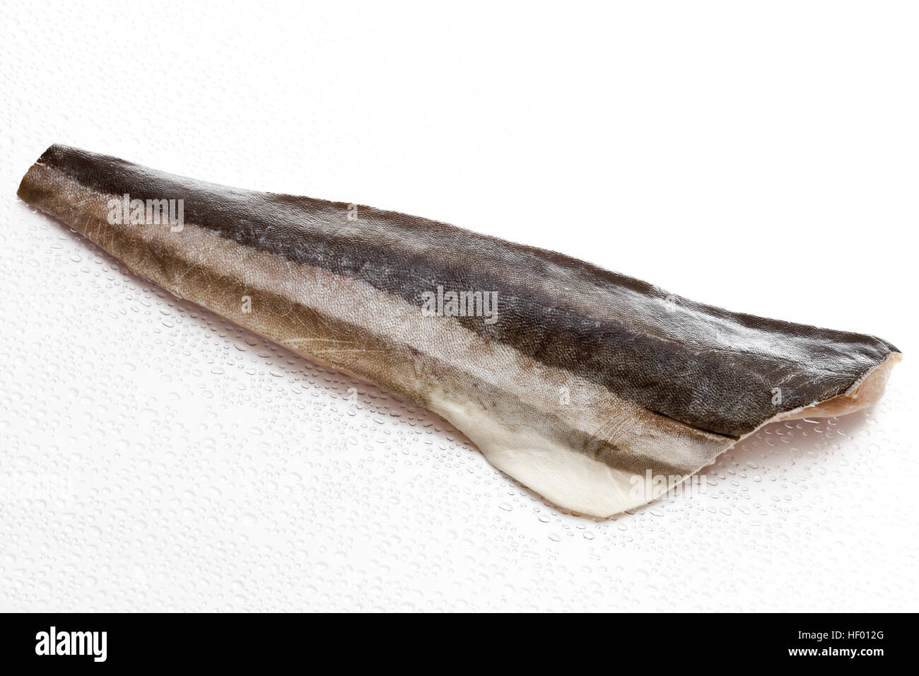 Black kingfish hi-res stock photography and images - Alamy