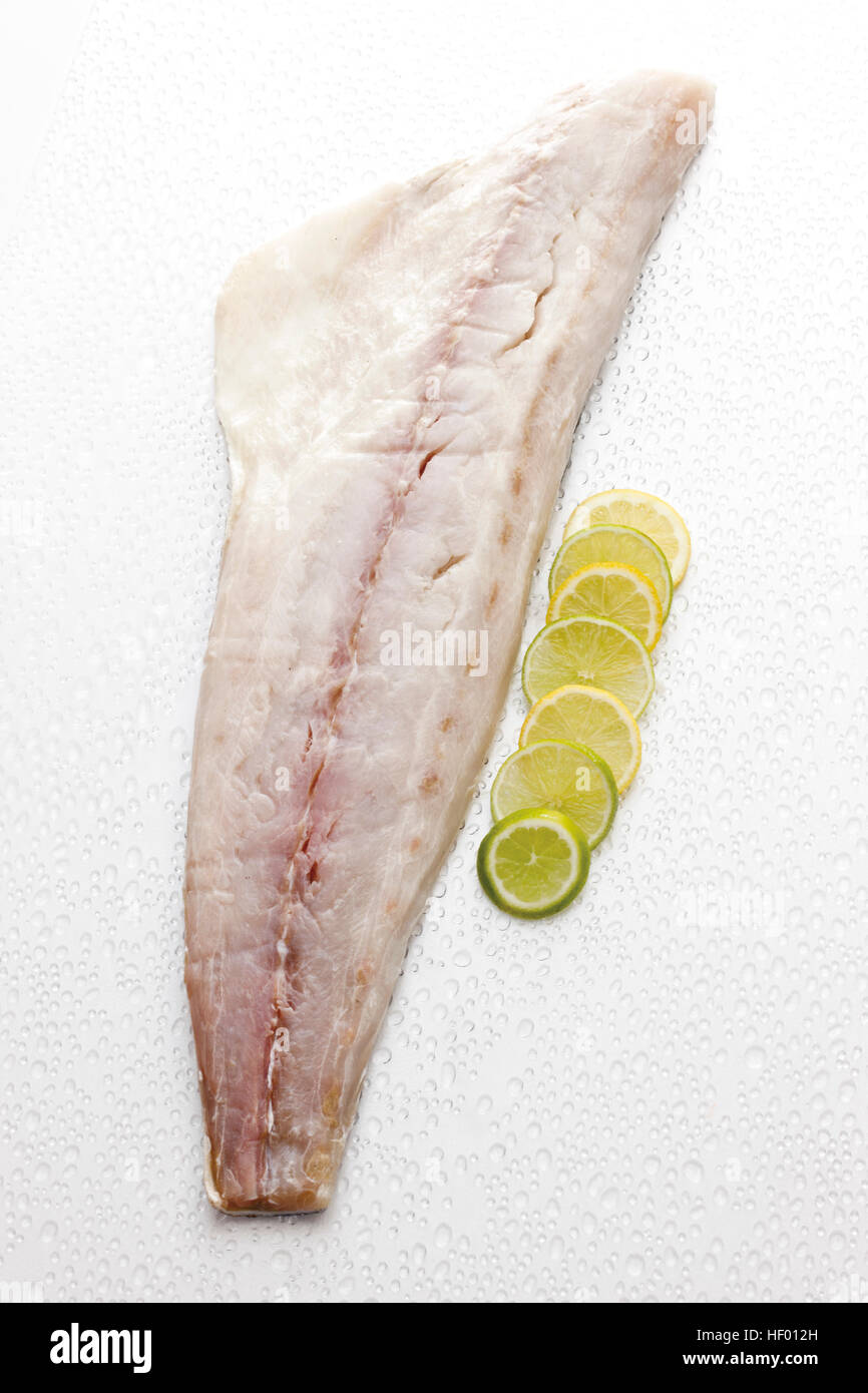 Black kingfish hi-res stock photography and images - Alamy