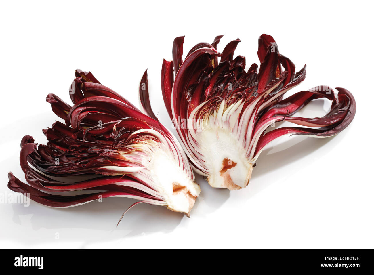 Radicchio or Italian Chicory (Cichorium intybus), cut open Stock Photo ...