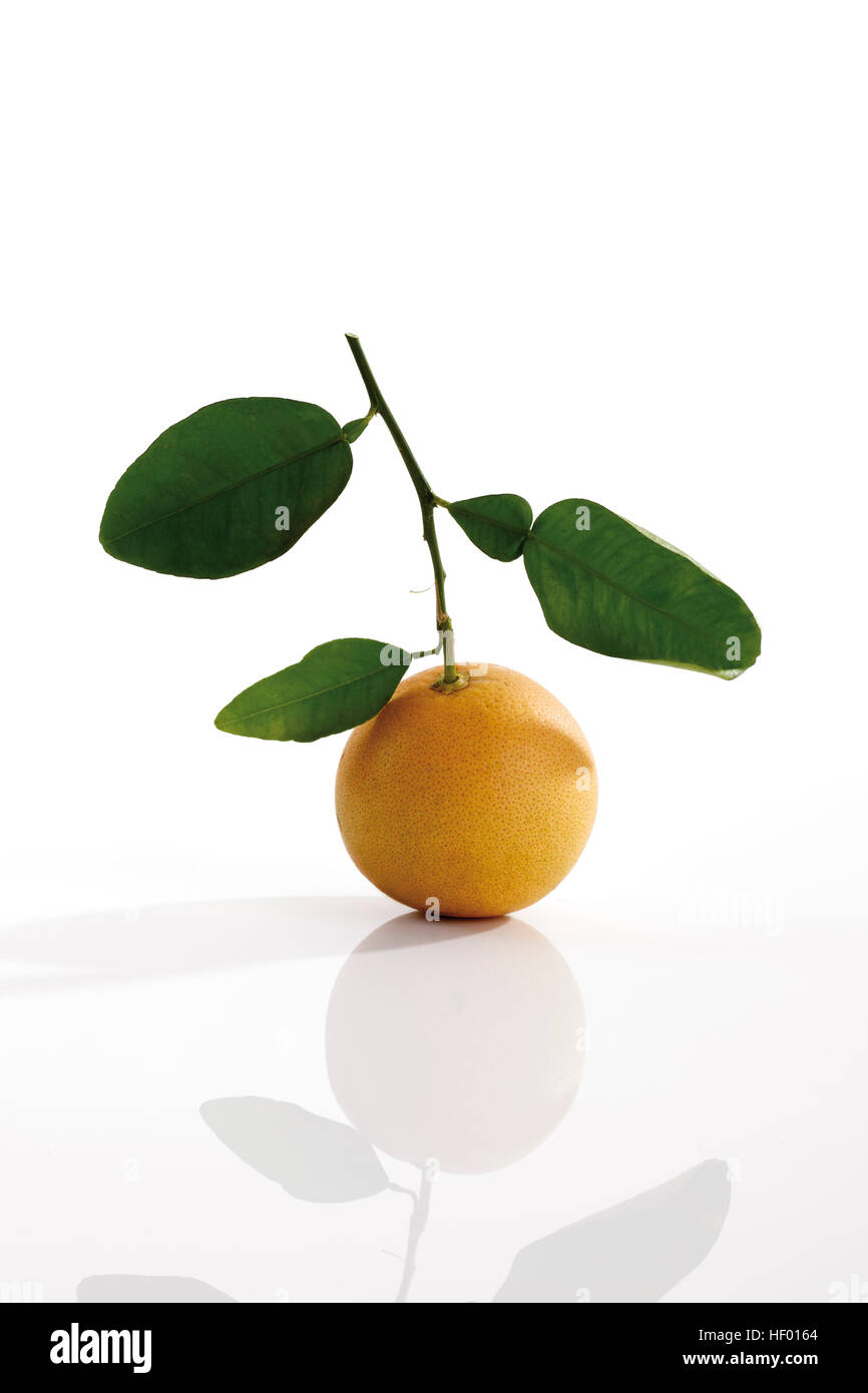 Grapefruit with stem and leaves Stock Photo - Alamy
