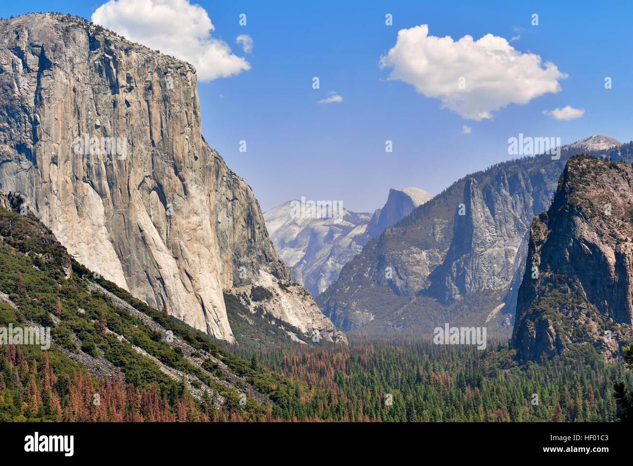 View of the Yosemite Valley, granite cliffs, El Capitan, Half Dome ...
