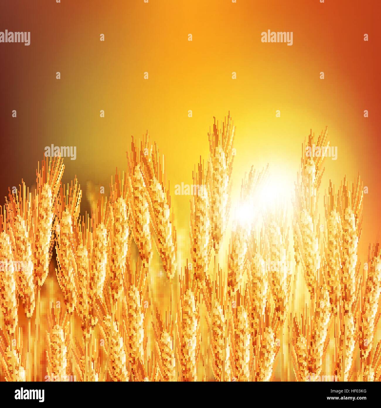 Agriculture landscape wheat field Stock Vector Images - Alamy