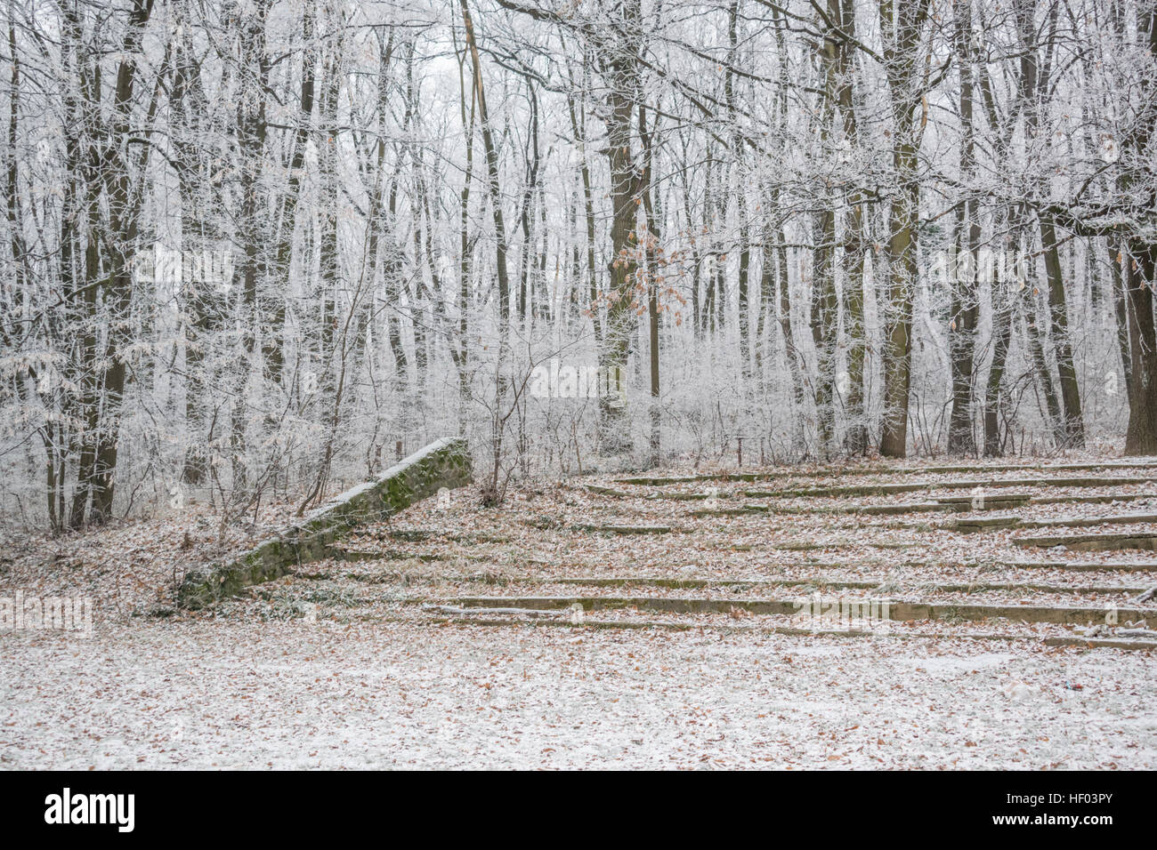 Frost amphitheater hi-res stock photography and images - Alamy