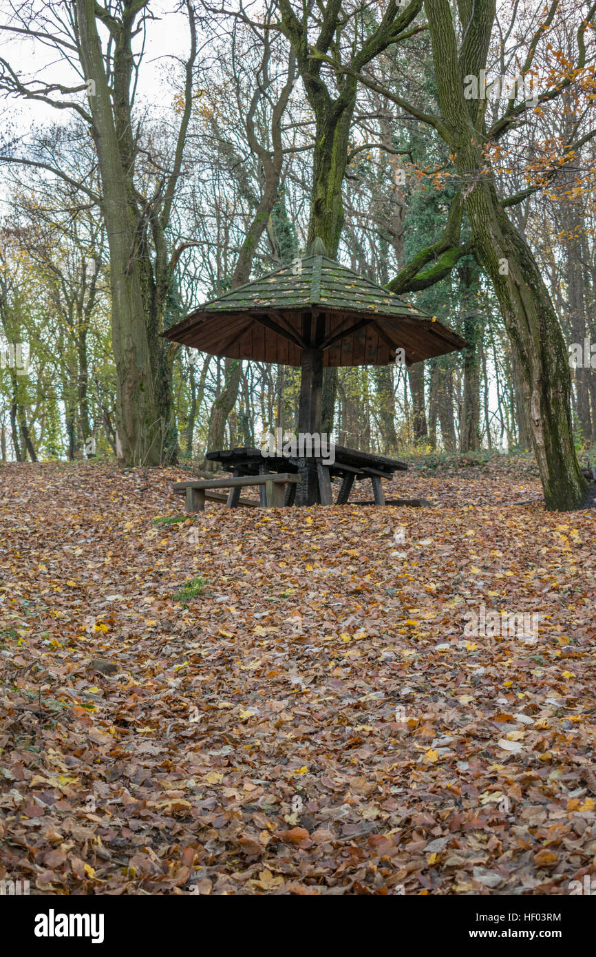 Tree Trunk Gazebo Pin By Maven Esquith On Piotr Pals | Garden Gazebo,