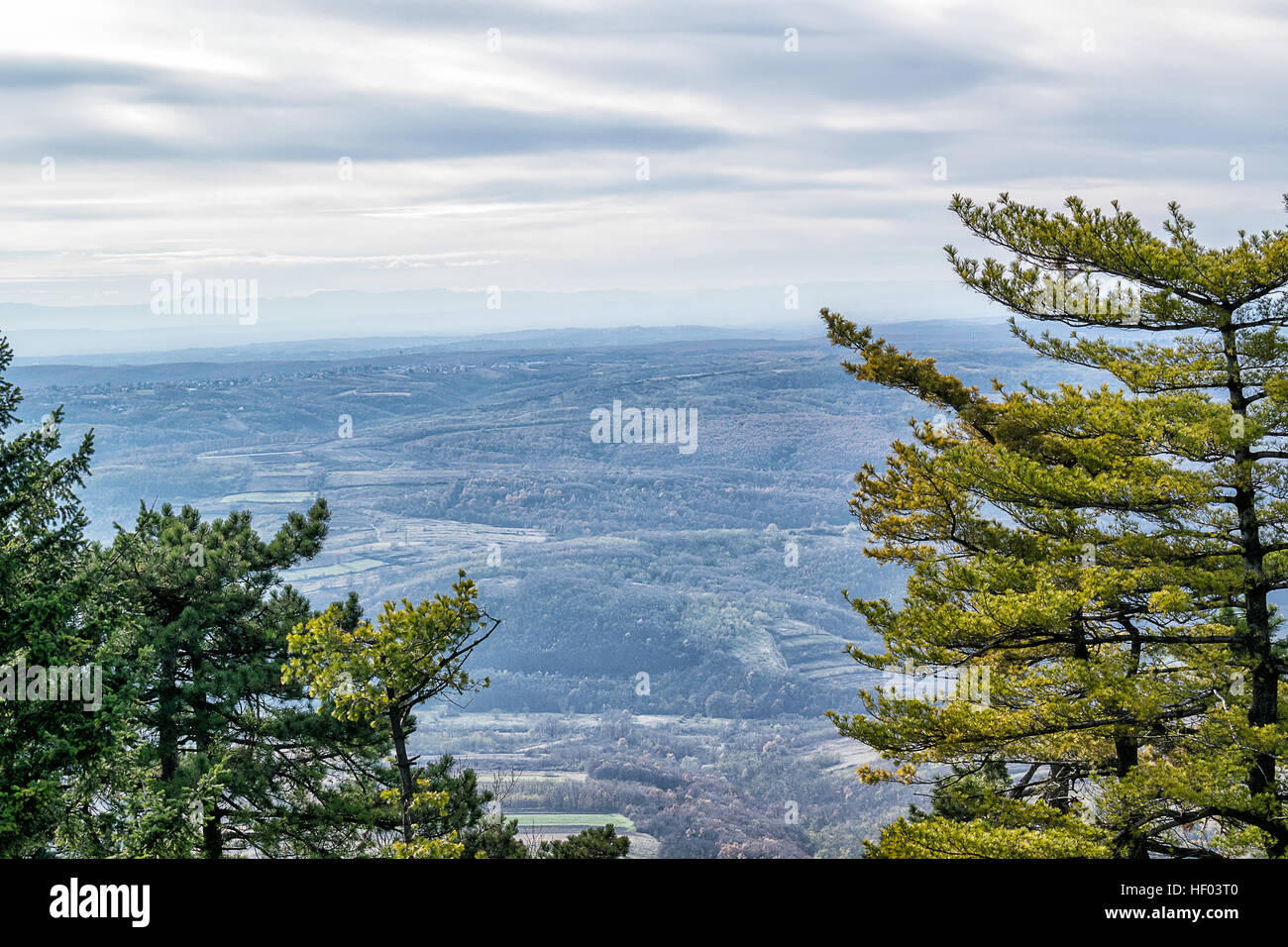 Nice landscape grass trees hi-res stock photography and images - Alamy