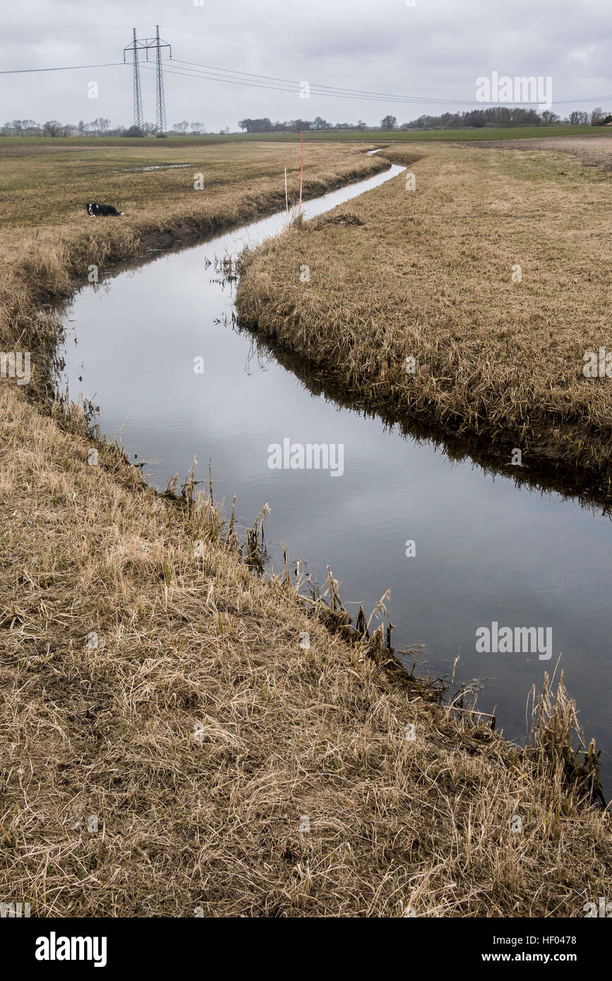 Brooke cut through the landscape Stock Photo - Alamy