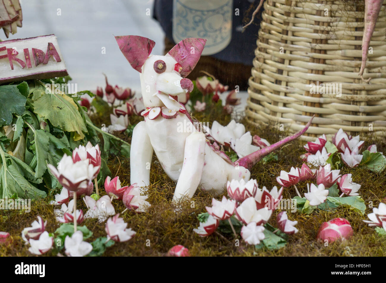 Oaxaca, Mexico, 23rd December, 2016. This year the traditional Radish ...
