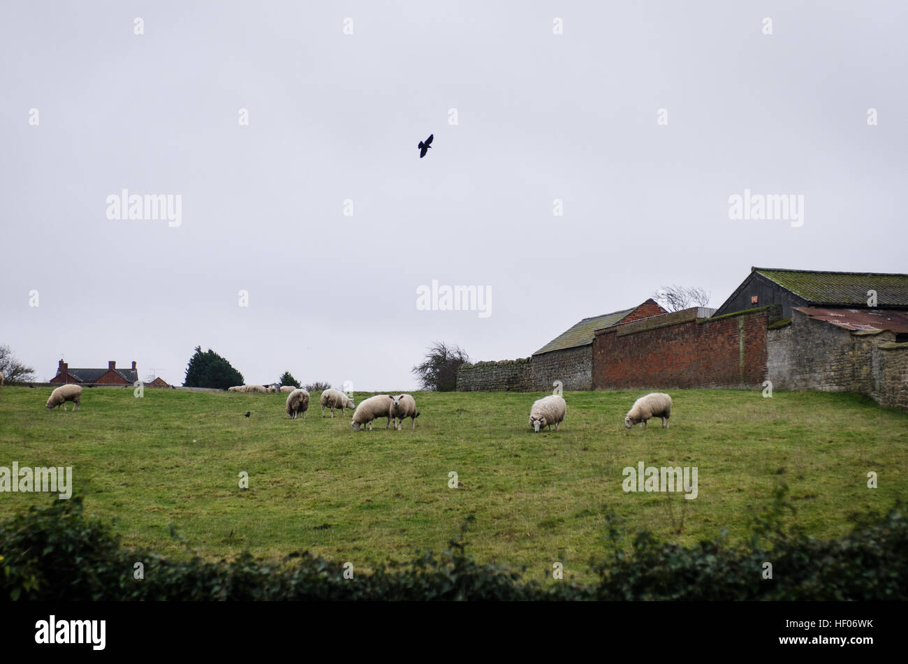 Calverton and village hi-res stock photography and images - Alamy