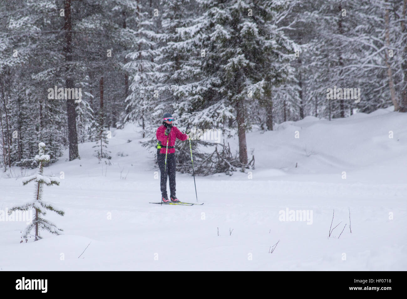 Salla in finland hi-res stock photography and images - Alamy