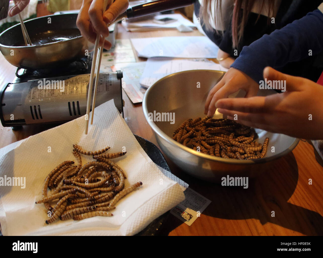 Live mealworms hi-res stock photography and images - Alamy