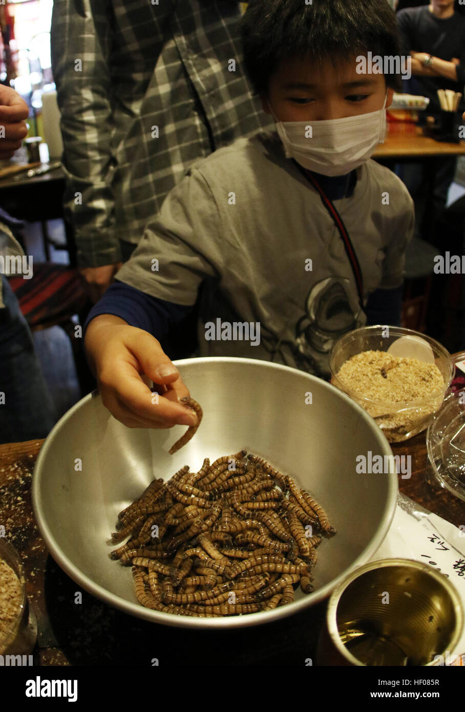 Tokyo, Japan. 24th Dec, 2016. A boy displays mealworms for cooking at a ...