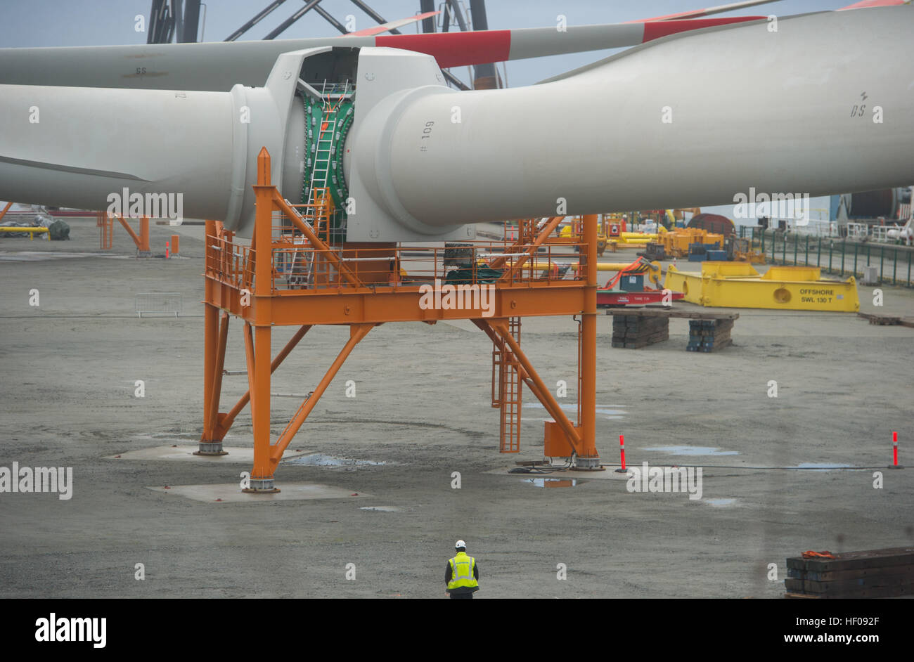 Components for the Wikinger offshore wind farm are prepared for ...